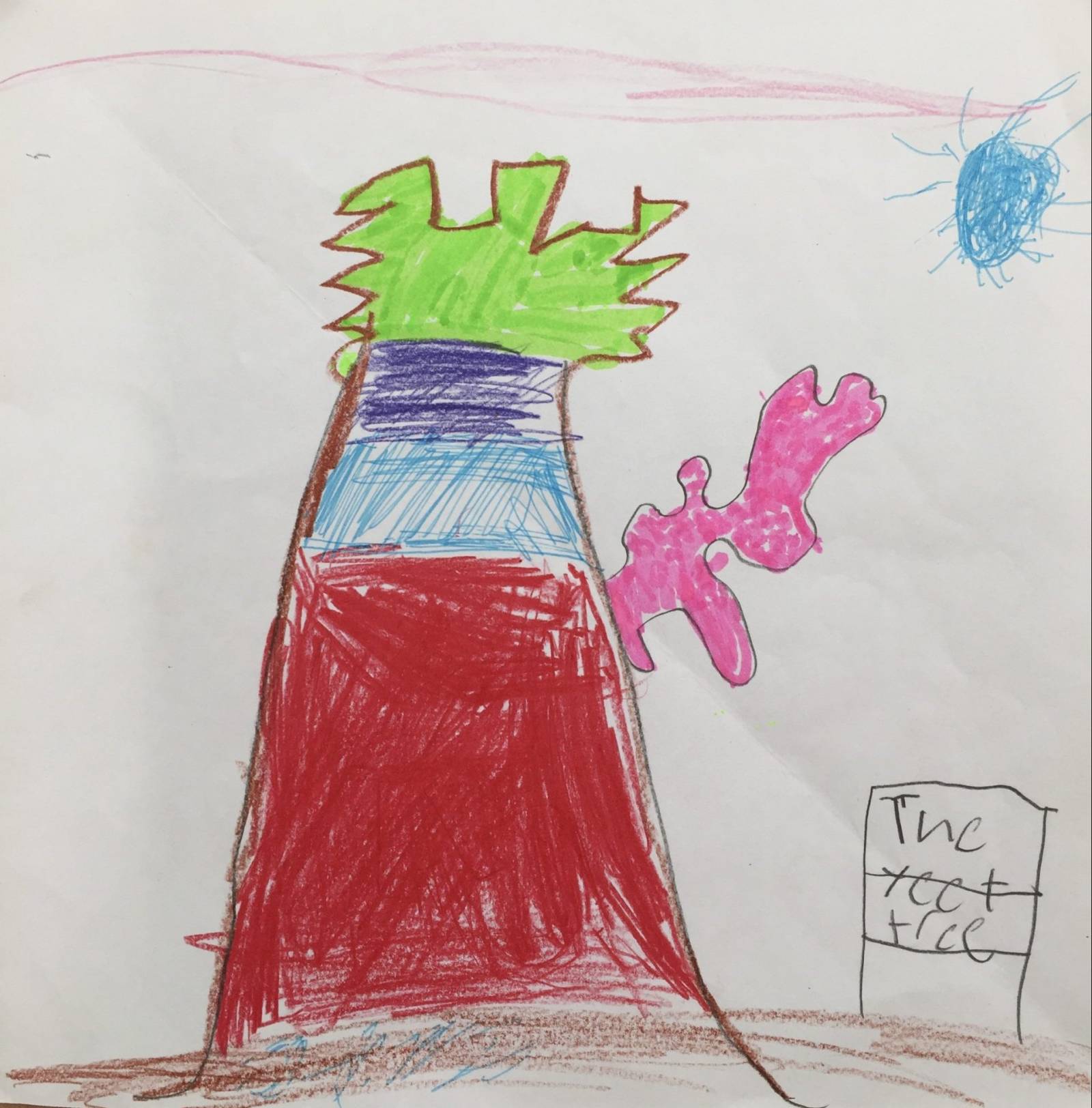 Lachlan’s tree - Kids Care About Climate Change