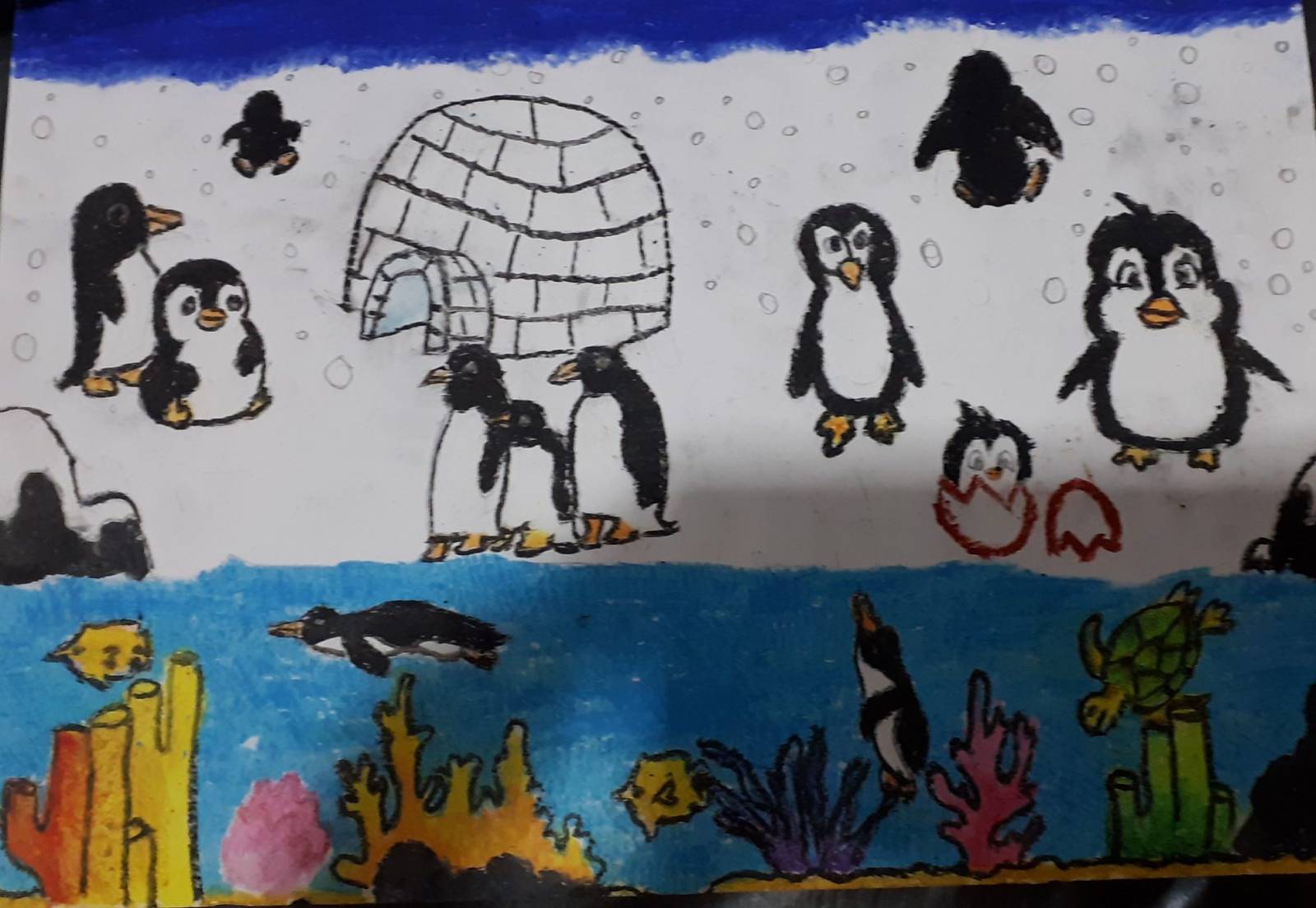 LETS SAVE SEA ENVIRONMENT - Kids Care About Climate Change