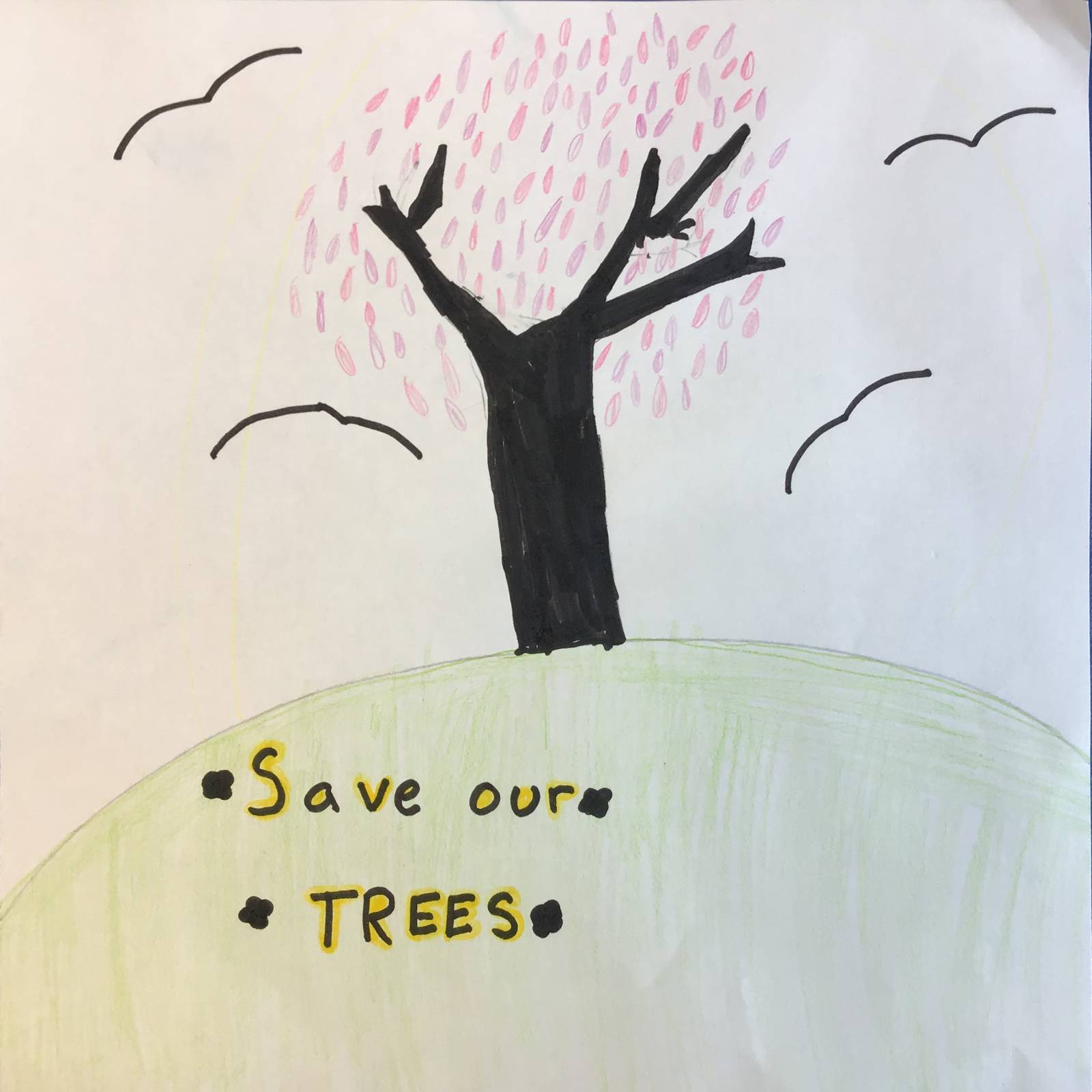 Save our trees - Kids Care About Climate Change