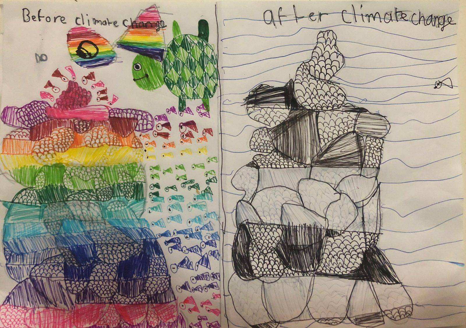 The amazing colours of coral - Kids Care About Climate Change 2021