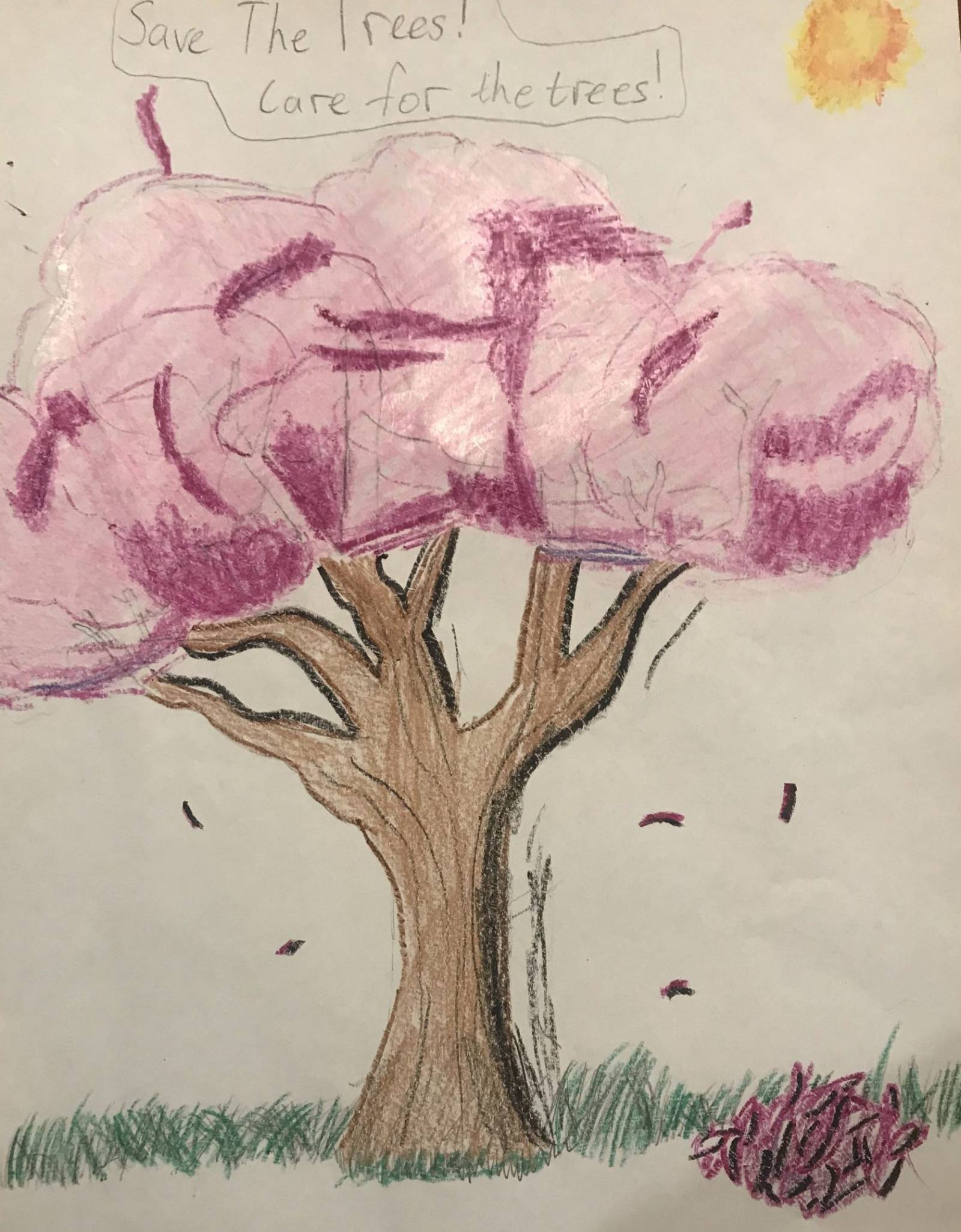 Care for the Trees - Kids Care About Climate Change