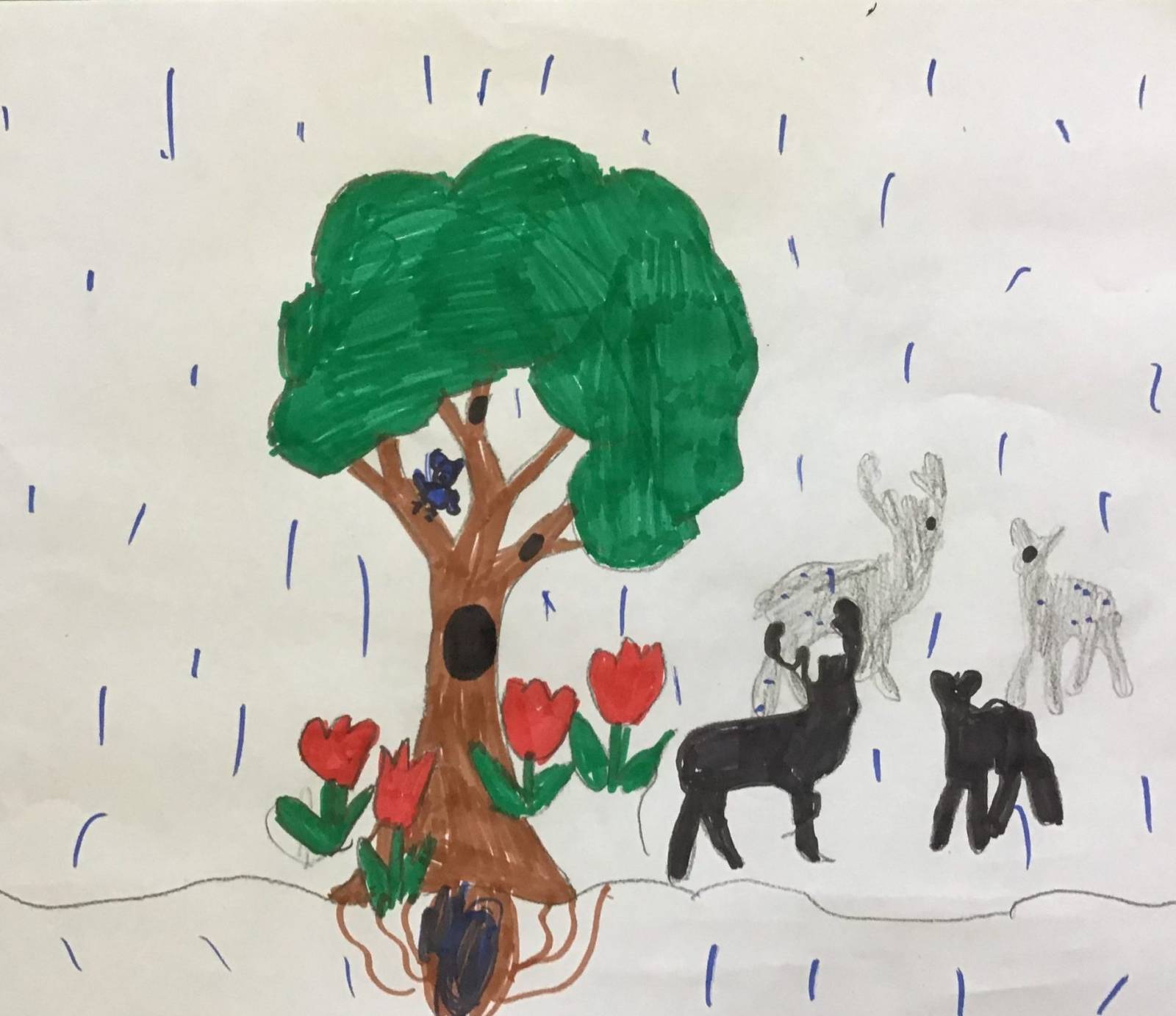 trees are good for animals - Kids Care About Climate Change 2021