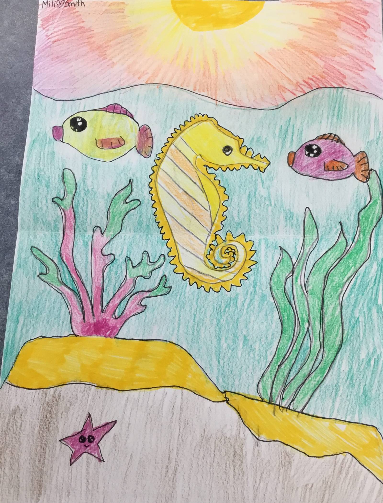 Seahorse sunset - Kids Care About Climate Change 2021