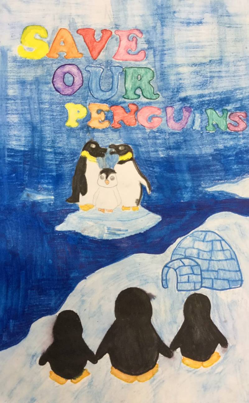 Save our penguins - Kids Care About Climate Change 2021