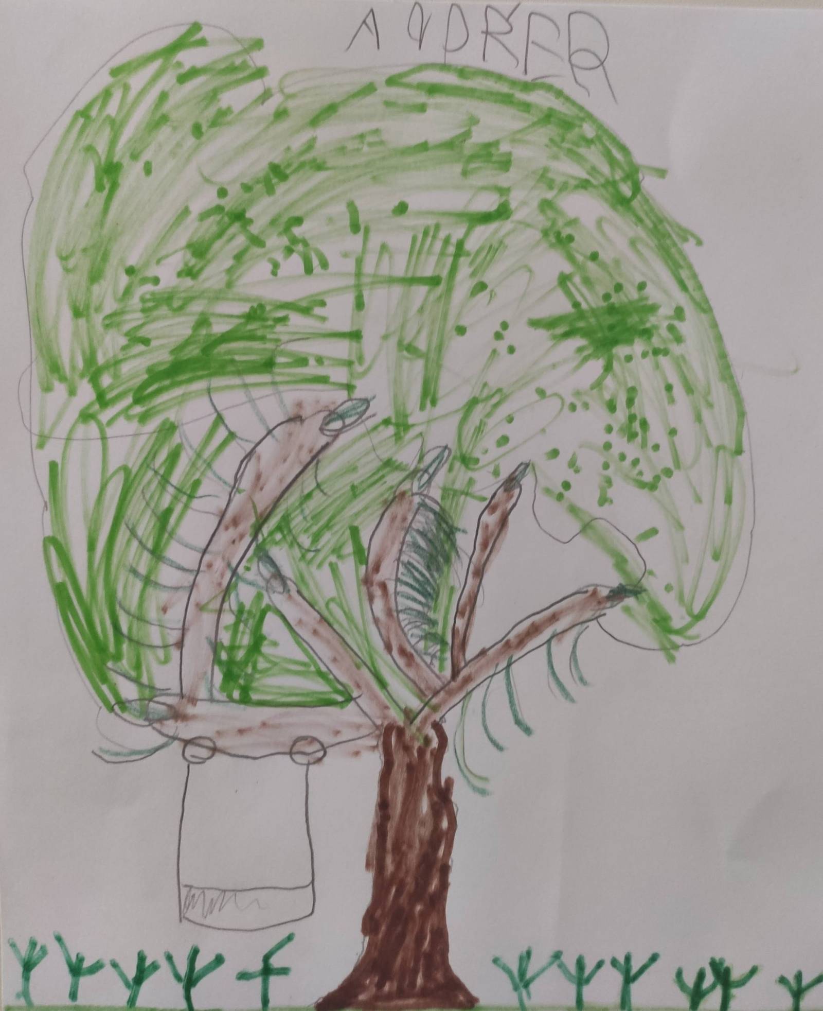 Trees - Kids Care About Climate Change 2021
