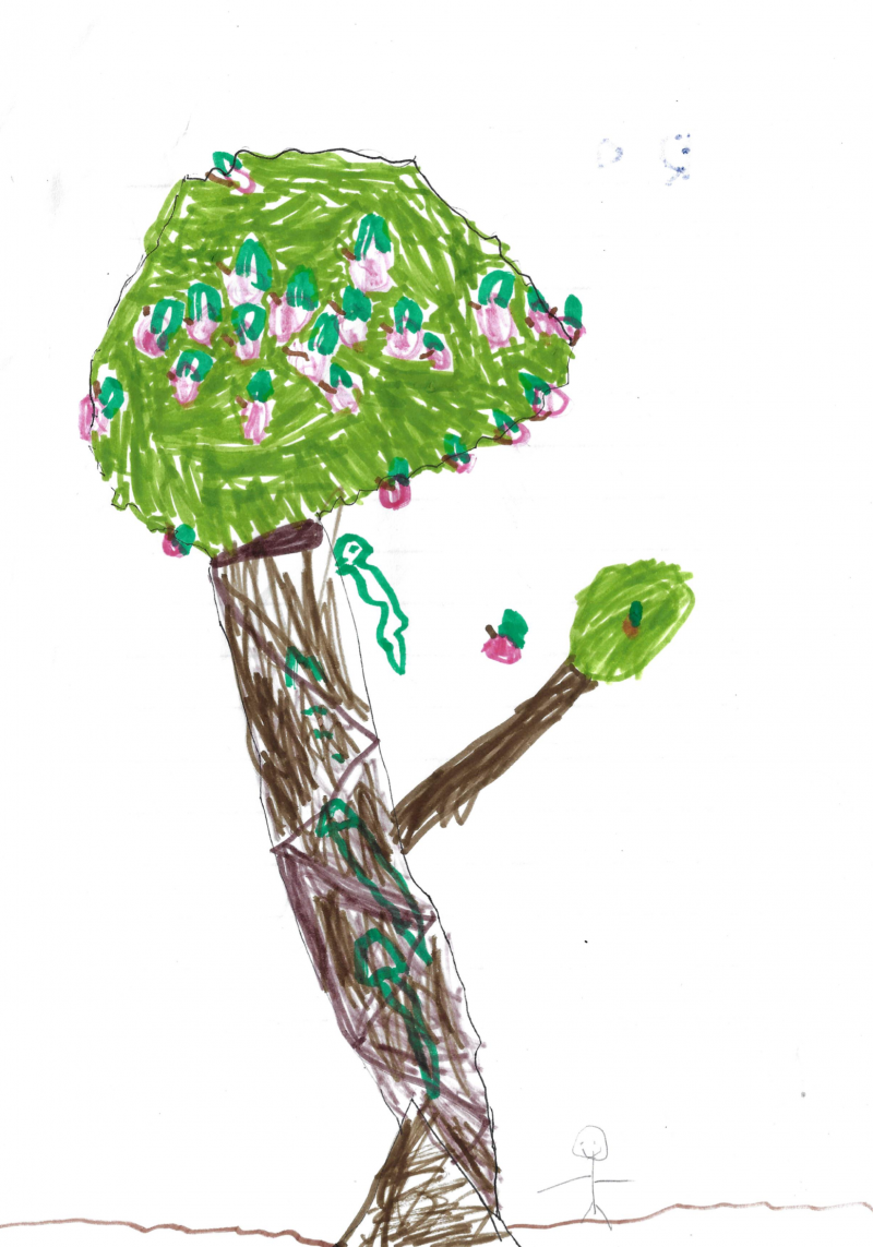 Arlo's Tree - Kids Care About Climate Change 2021