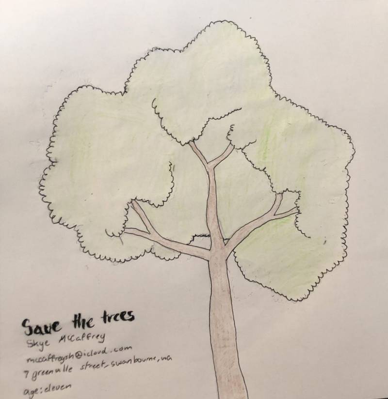 Save the trees - Kids Care About Climate Change 2021