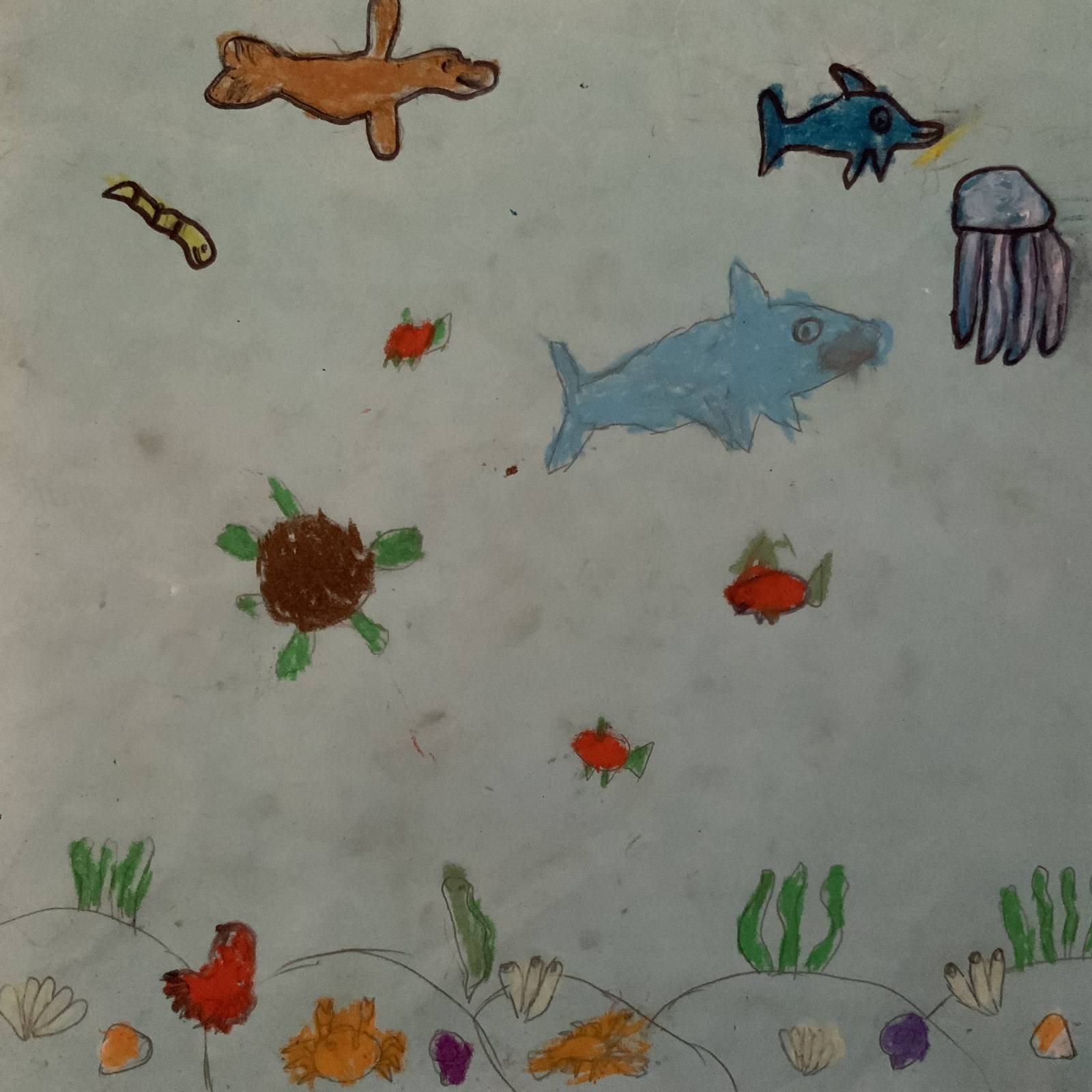 Trees help the sea animals - Kids Care About Climate Change