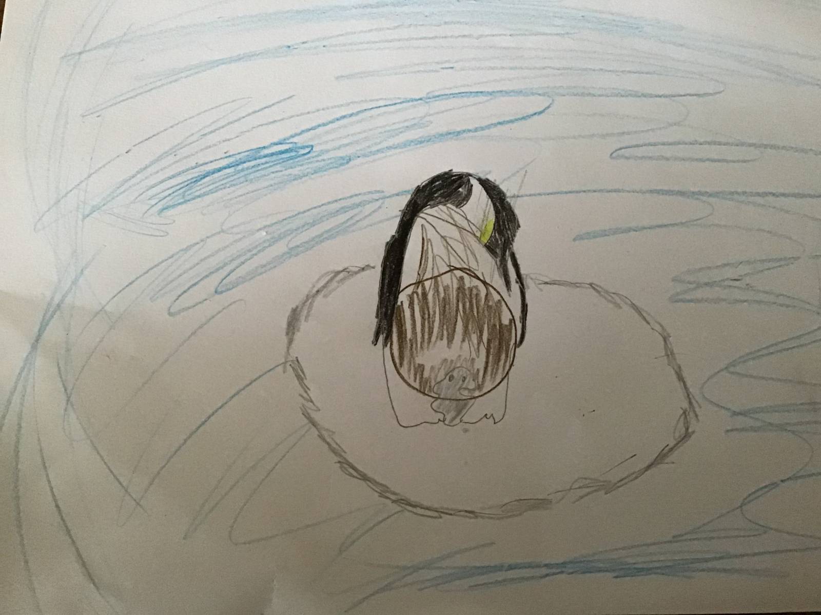 Poor penguins - Kids Care About Climate Change 2021