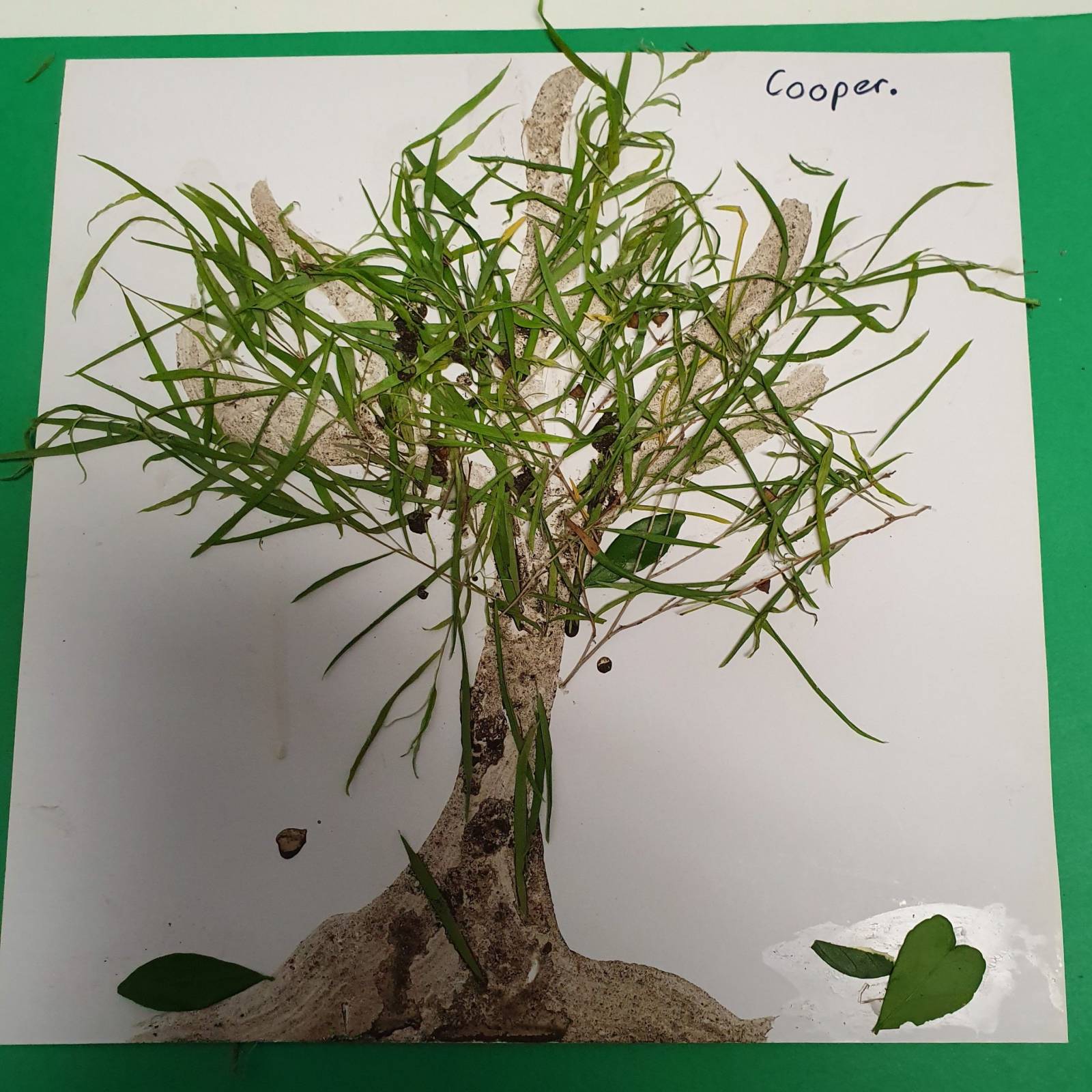 Tree of Life - Kids Care About Climate Change 2021