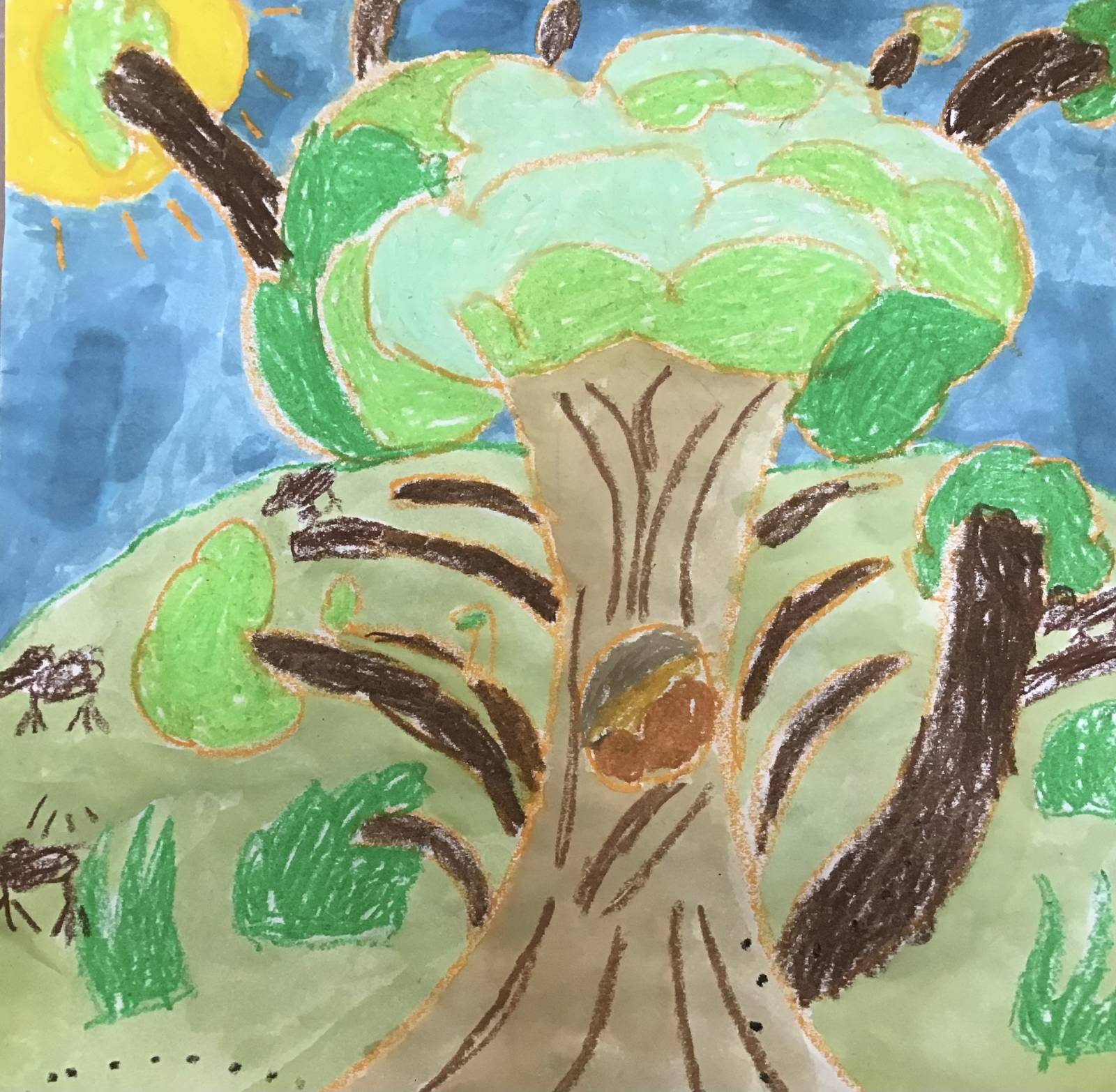 Hope For Trees - Kids Care About Climate Change 2021