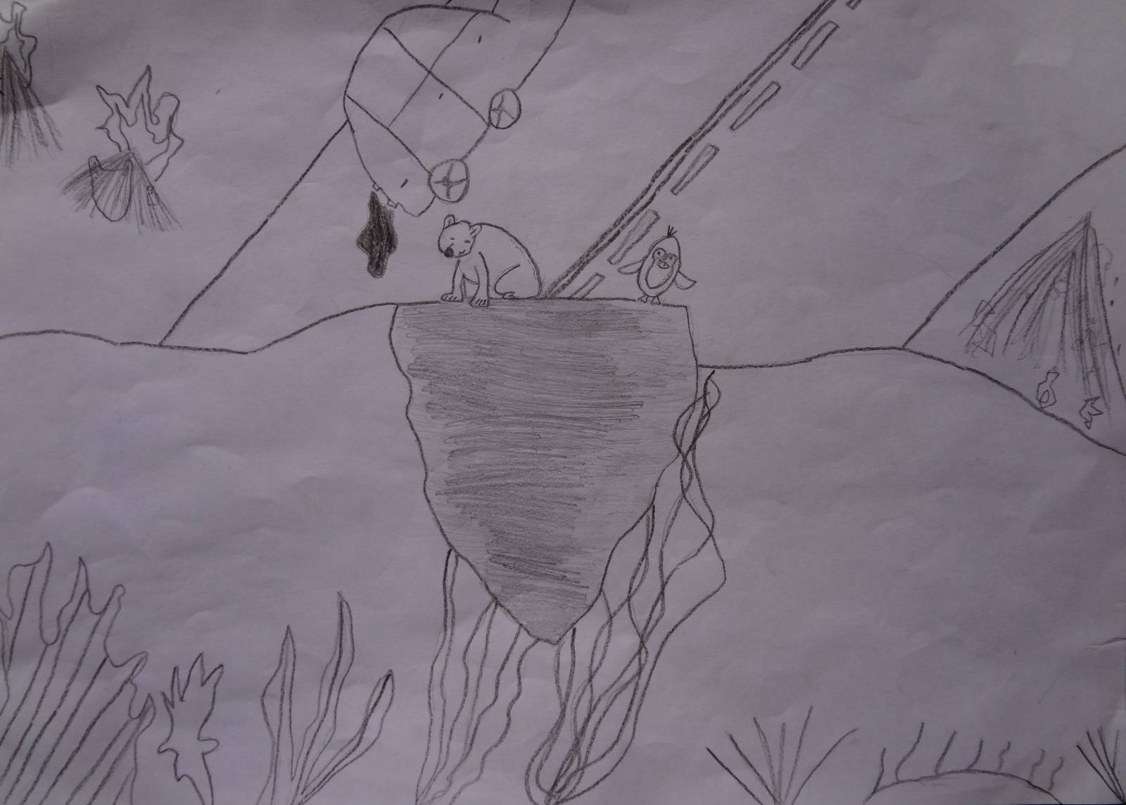 The Colourless Picture - Kids Care About Climate Change