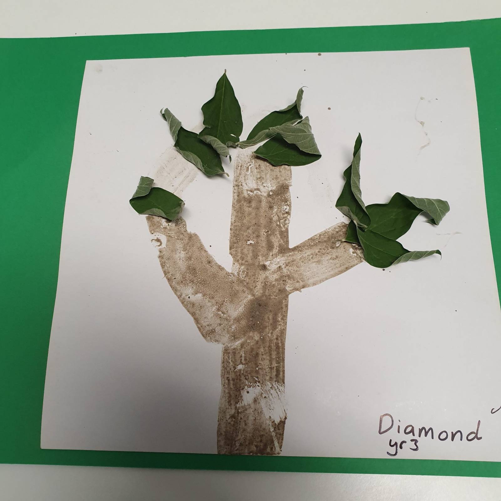 The Lime Tree - Kids Care About Climate Change 2021