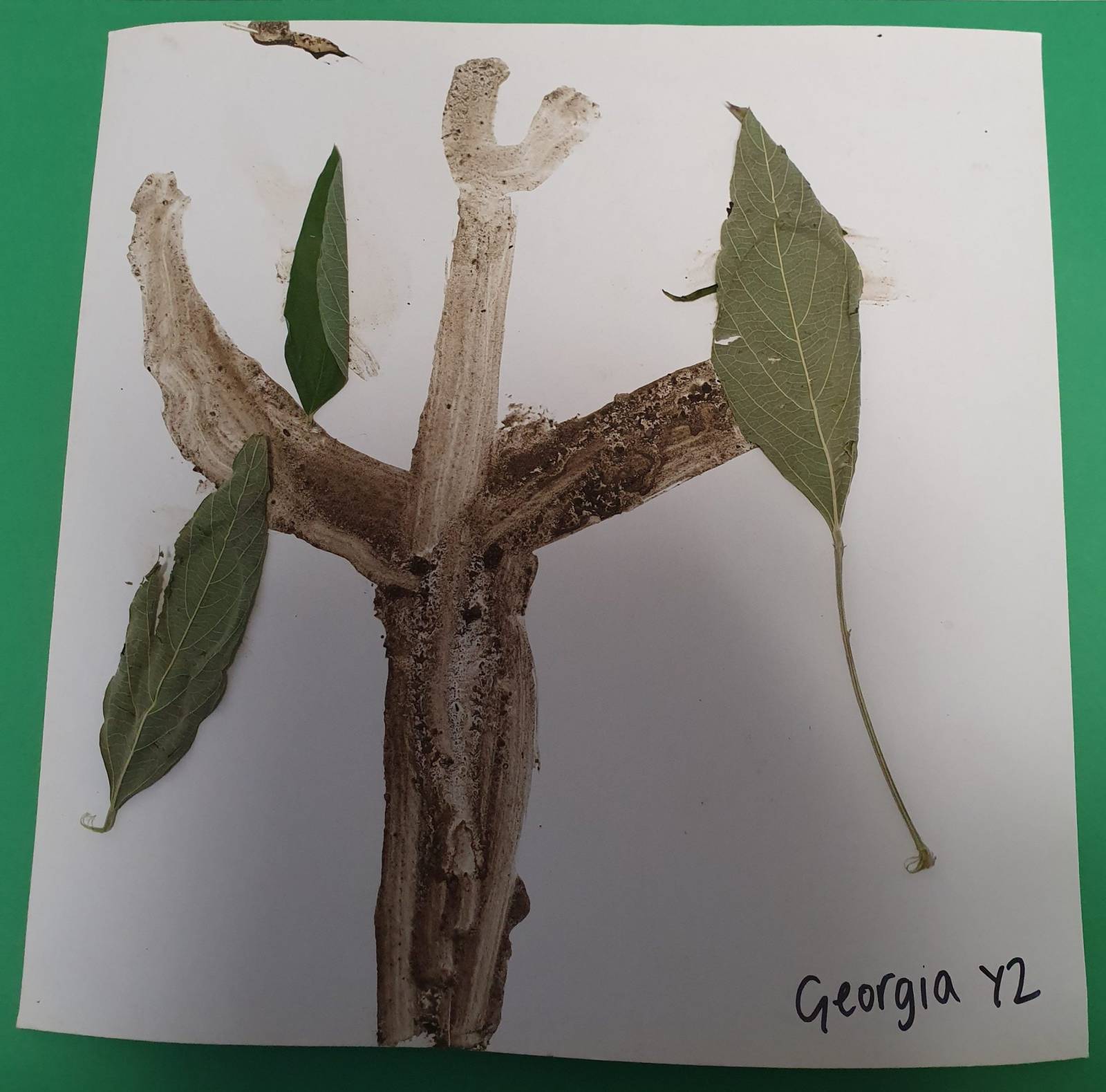 Air Trees - Kids Care About Climate Change 2021