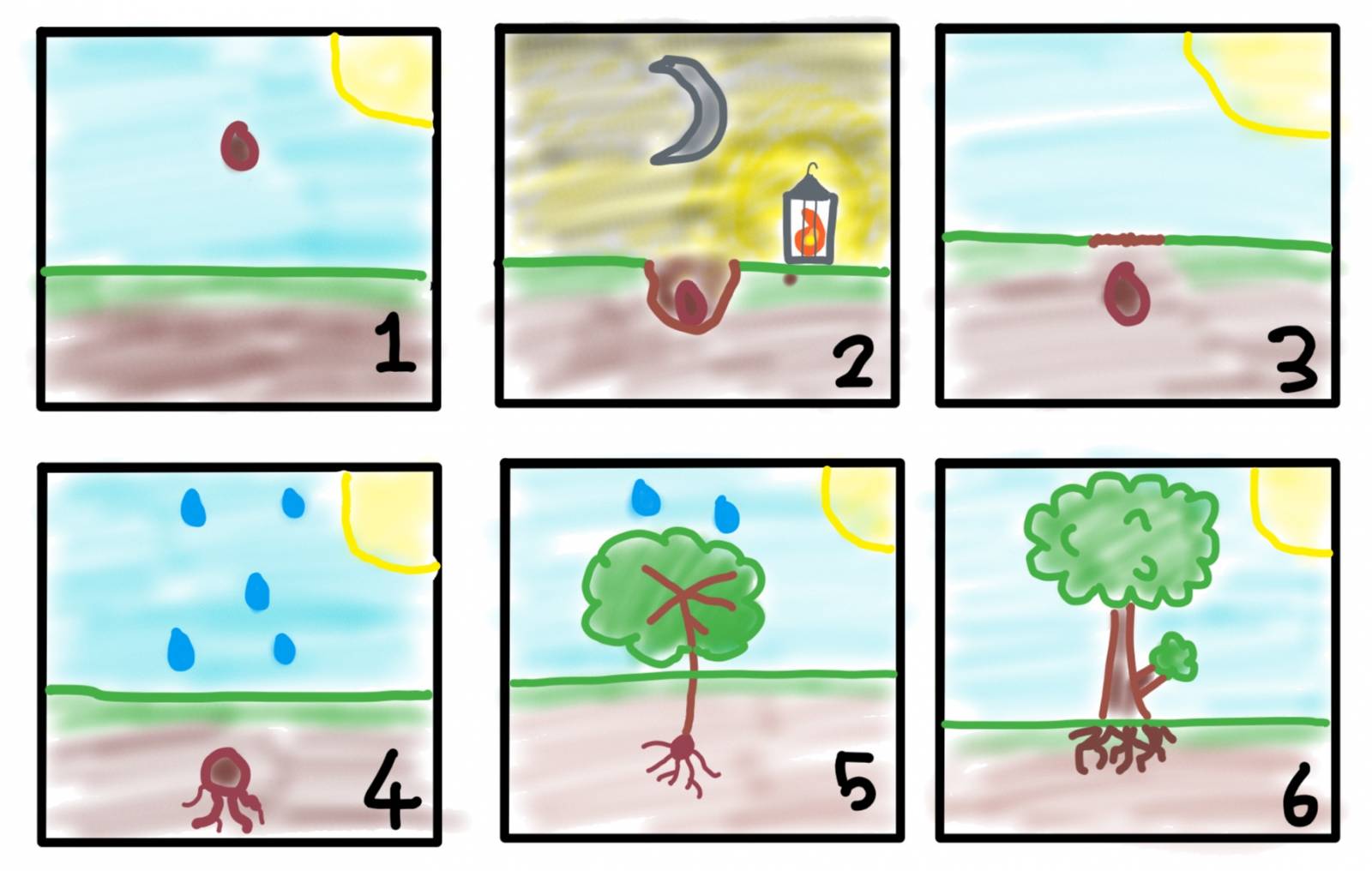 Growing a tree - Kids Care About Climate Change 2021