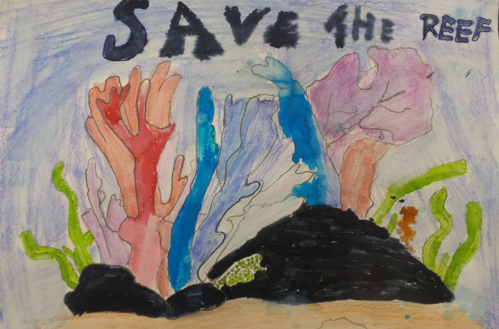 Save the Reef - Kids Care About Climate Change 2021