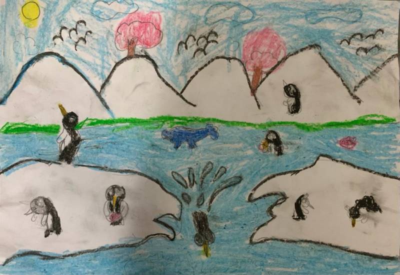 Lets save beautiful lives of penguins - Kids Care About Climate Change