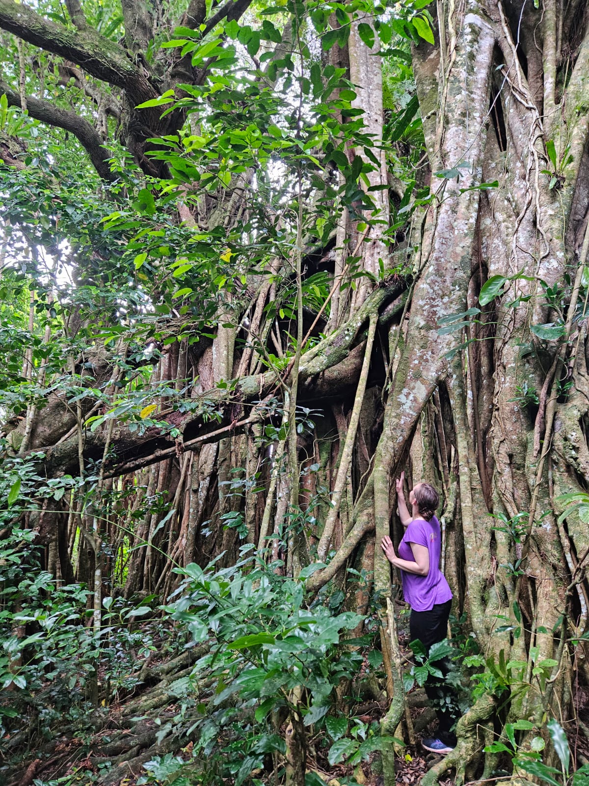 - Kids Care About Climate Change