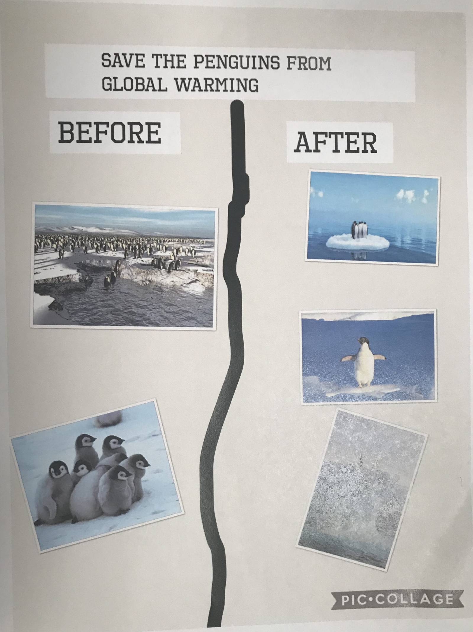 save the Penguins from Global Warming - Kids Care About Climate Change 2021