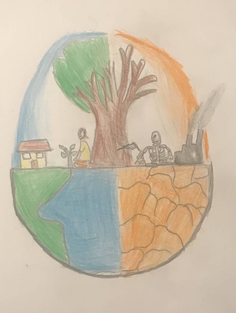 A World With and Without Trees. - Kids Care About Climate Change