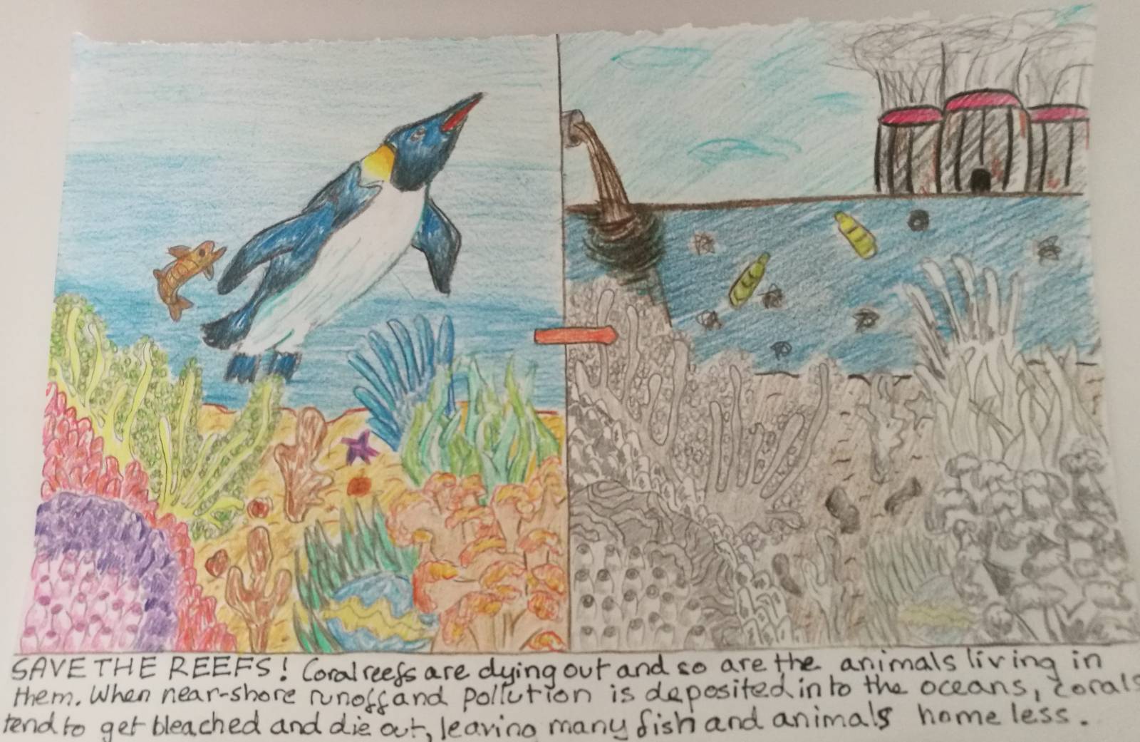 Save the Reefs! - Kids Care About Climate Change 2021