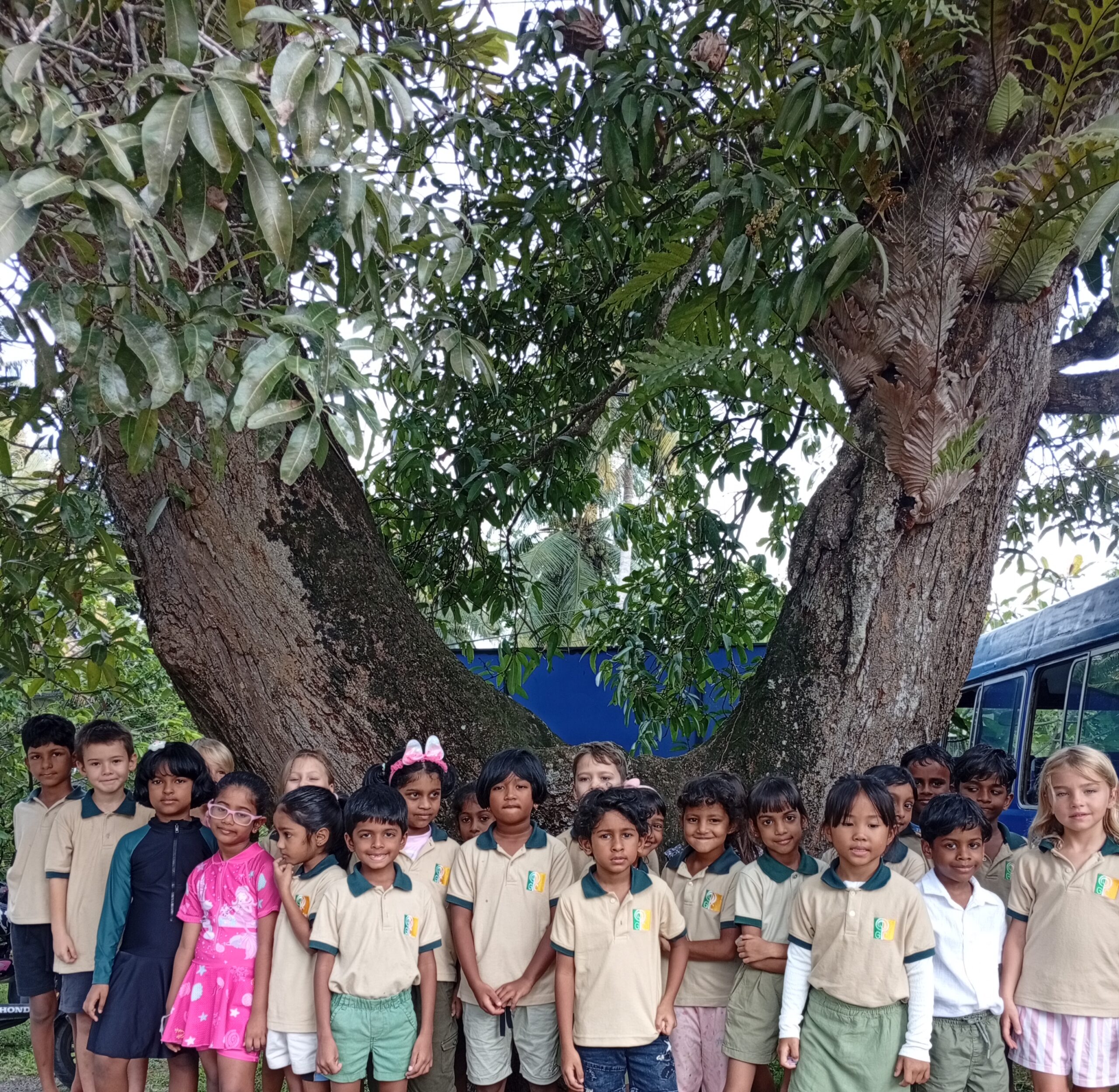 - Kids Care About Climate Change