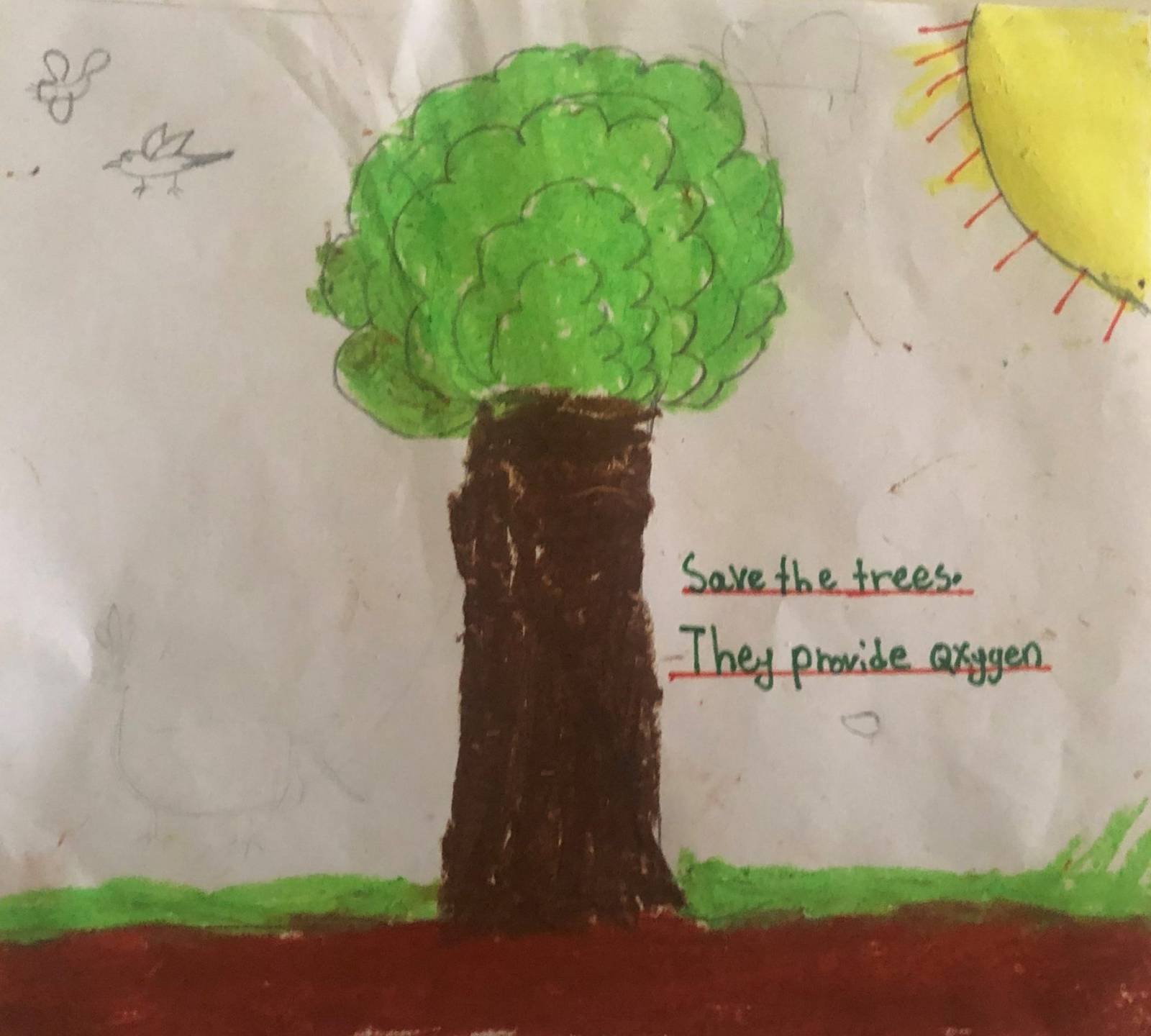 Save the trees they provide oxygen - Kids Care About Climate Change