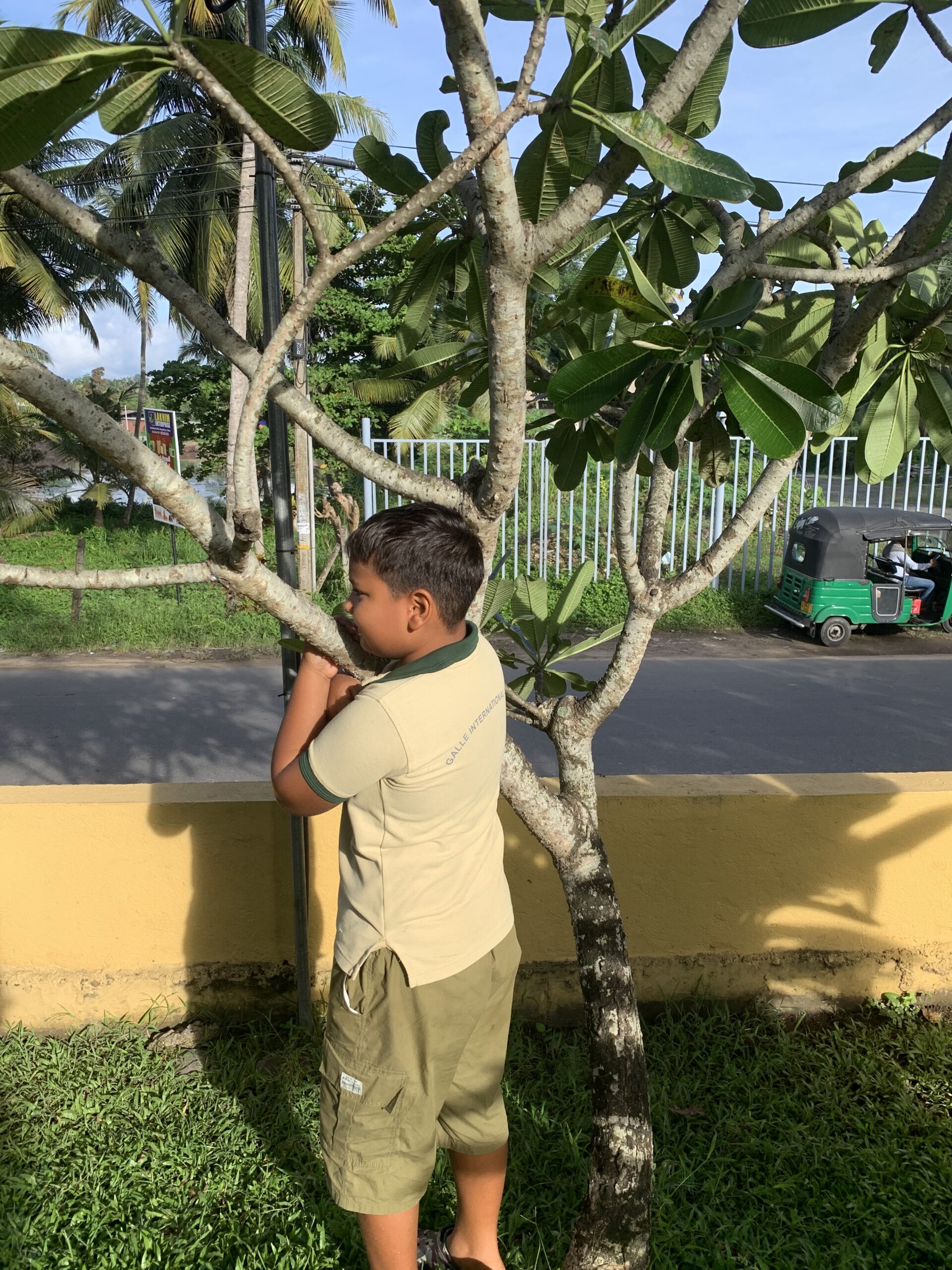 - Kids Care About Climate Change