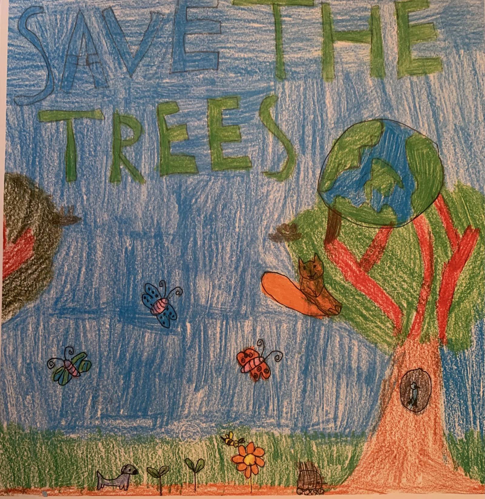 Save the Trees - Kids Care About Climate Change 2021