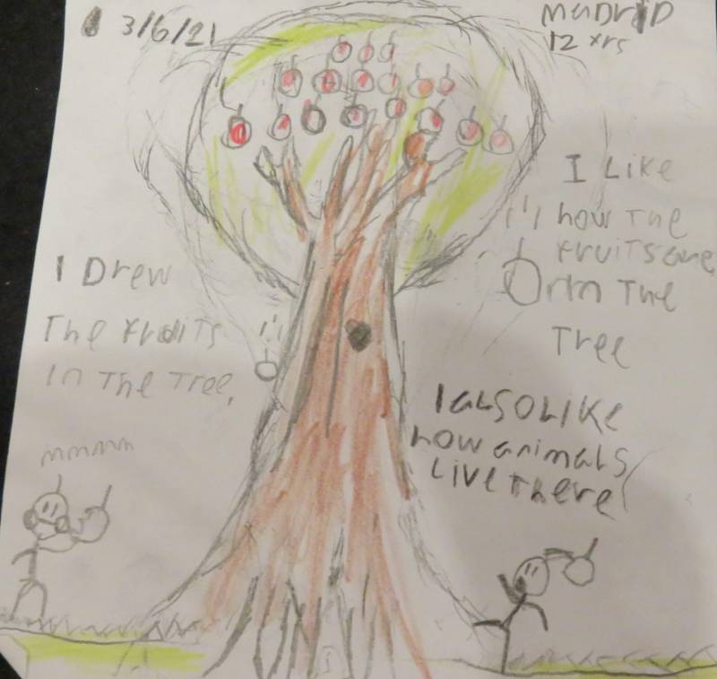Pog Tree - Kids Care About Climate Change