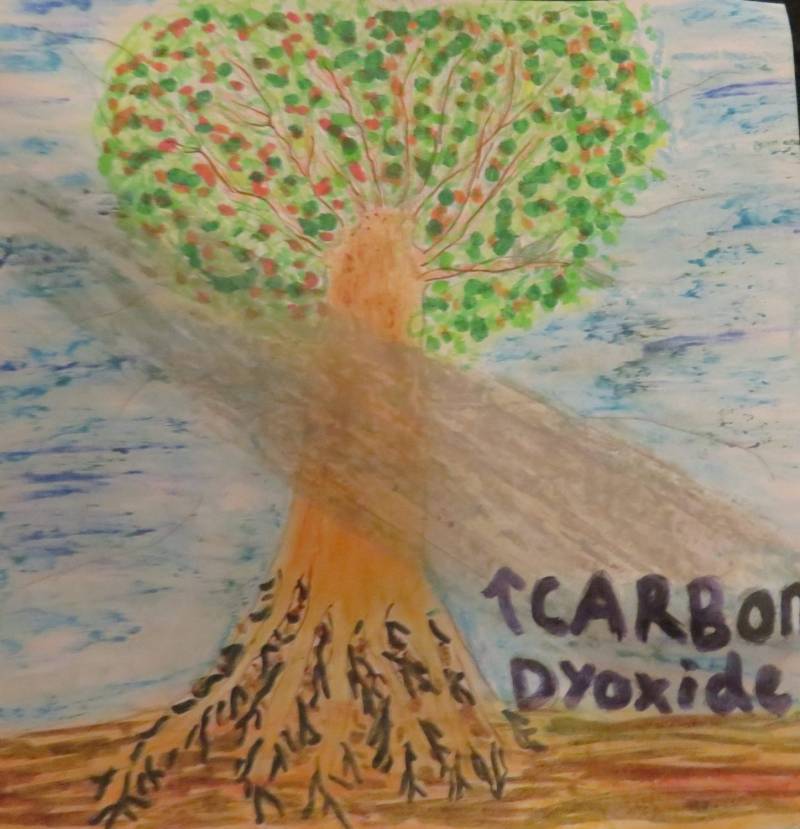 Tree of Life - Kids Care About Climate Change 2021