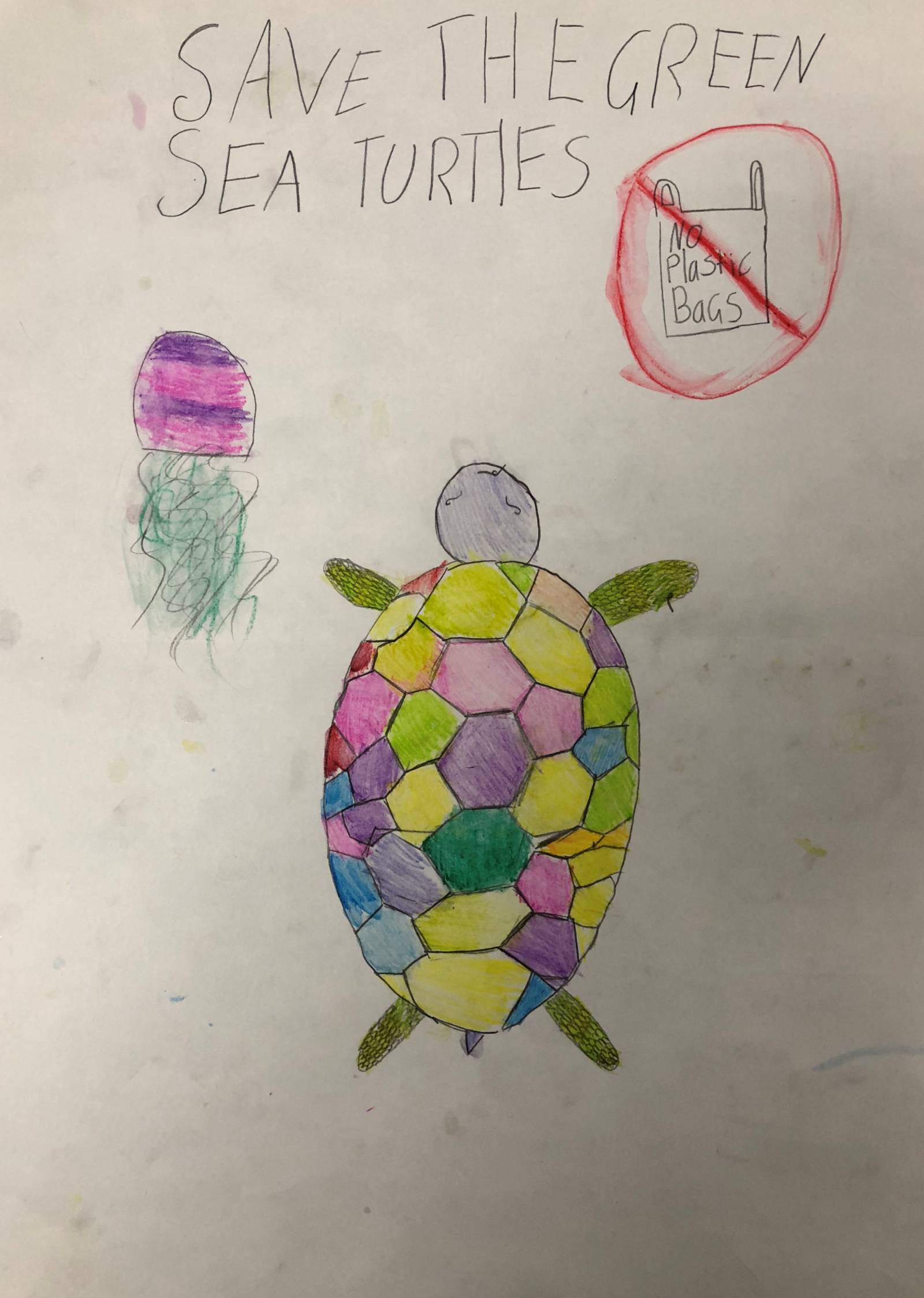 Save the Green Sea Turtles - Kids Care About Climate Change 2021