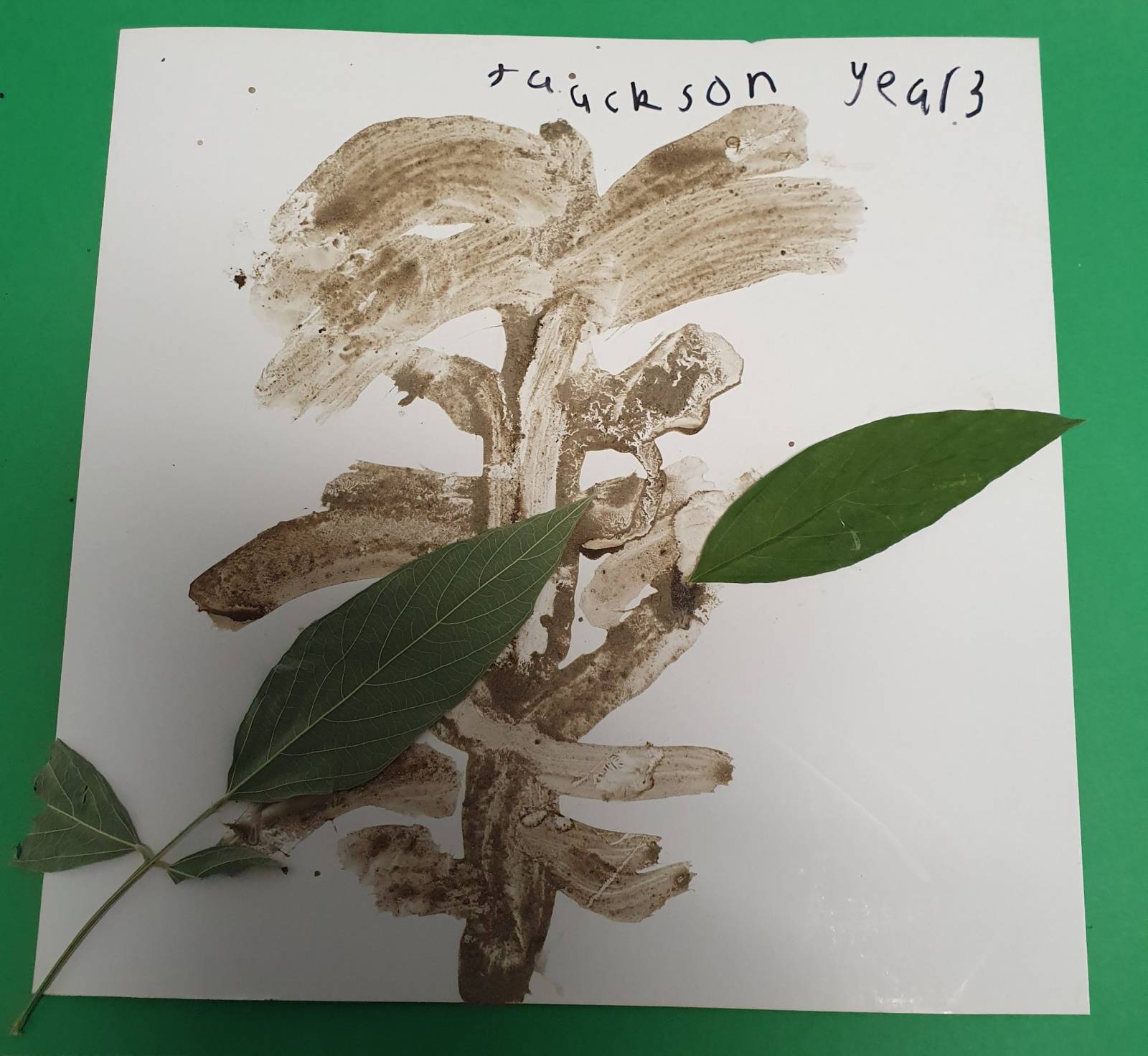 Beery Tree - Kids Care About Climate Change 2021