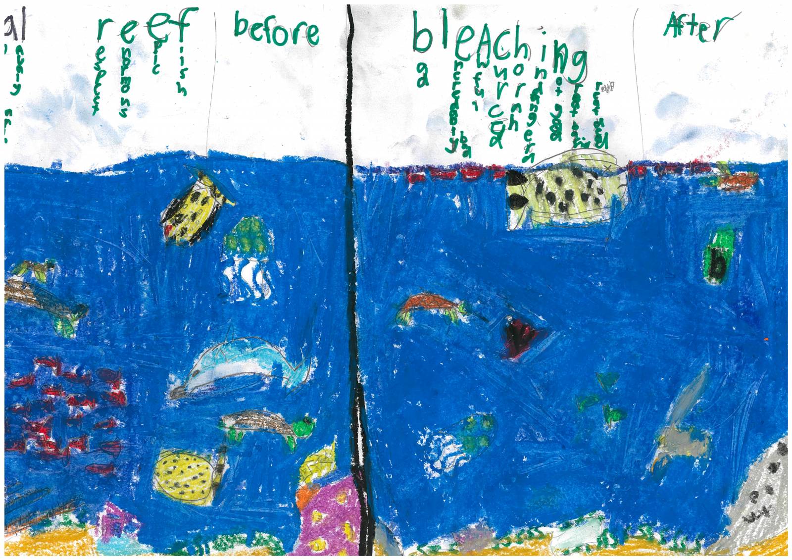 Coral bleaching - Kids Care About Climate Change