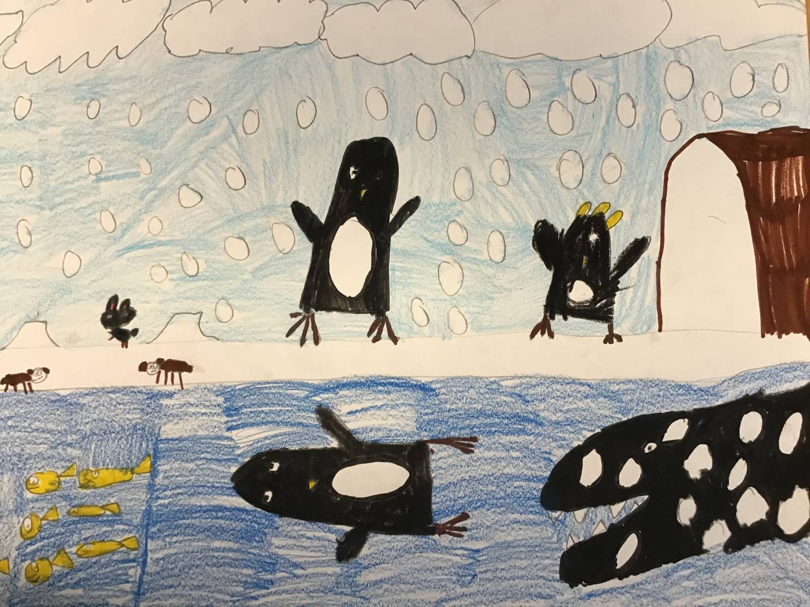 Save The Arctic - Kids Care About Climate Change
