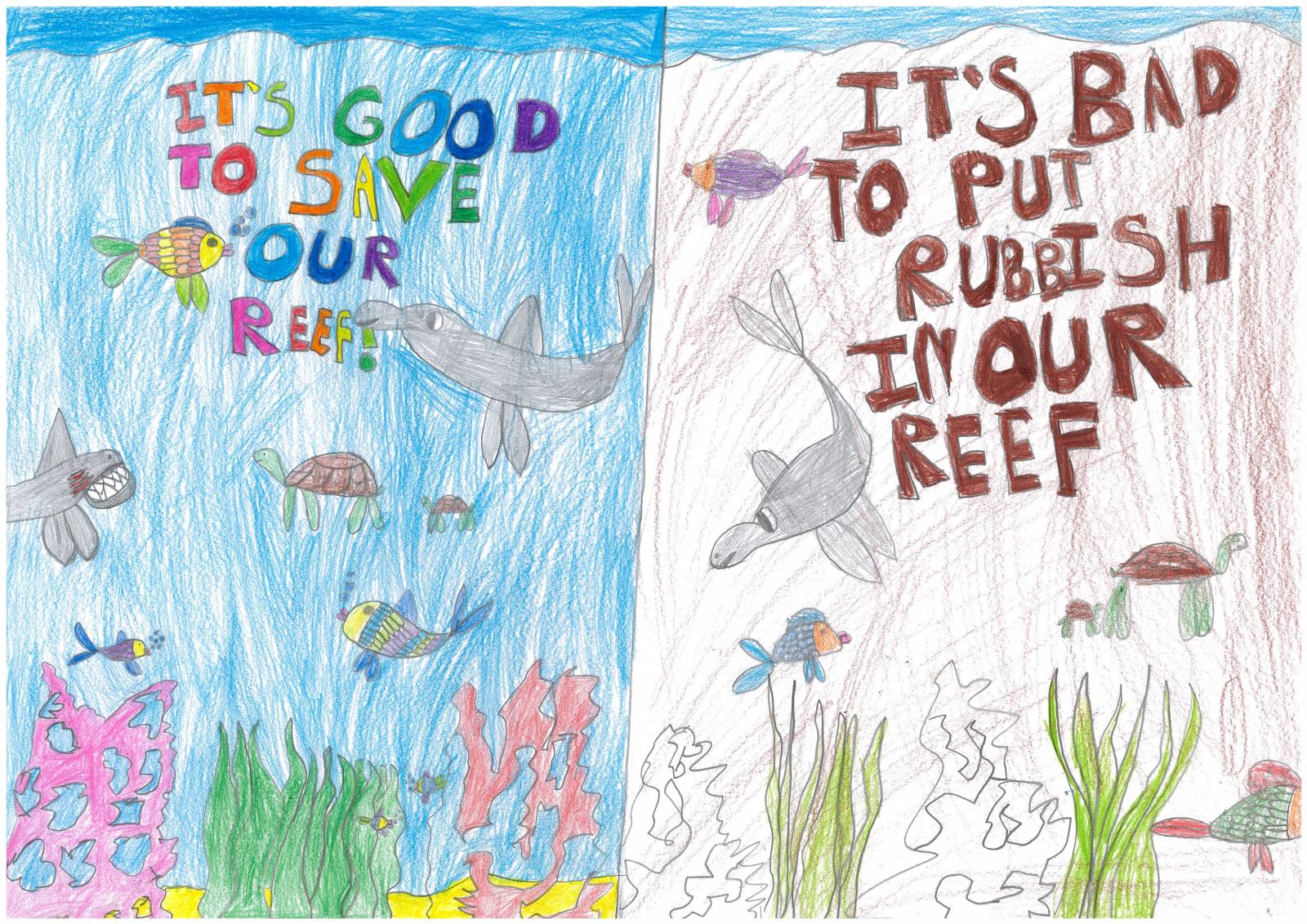 it's good to save our reef! - Kids Care About Climate Change