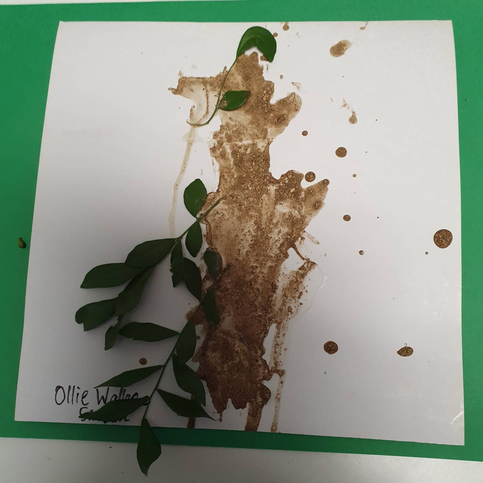 The Dirty Tree - Kids Care About Climate Change 2021