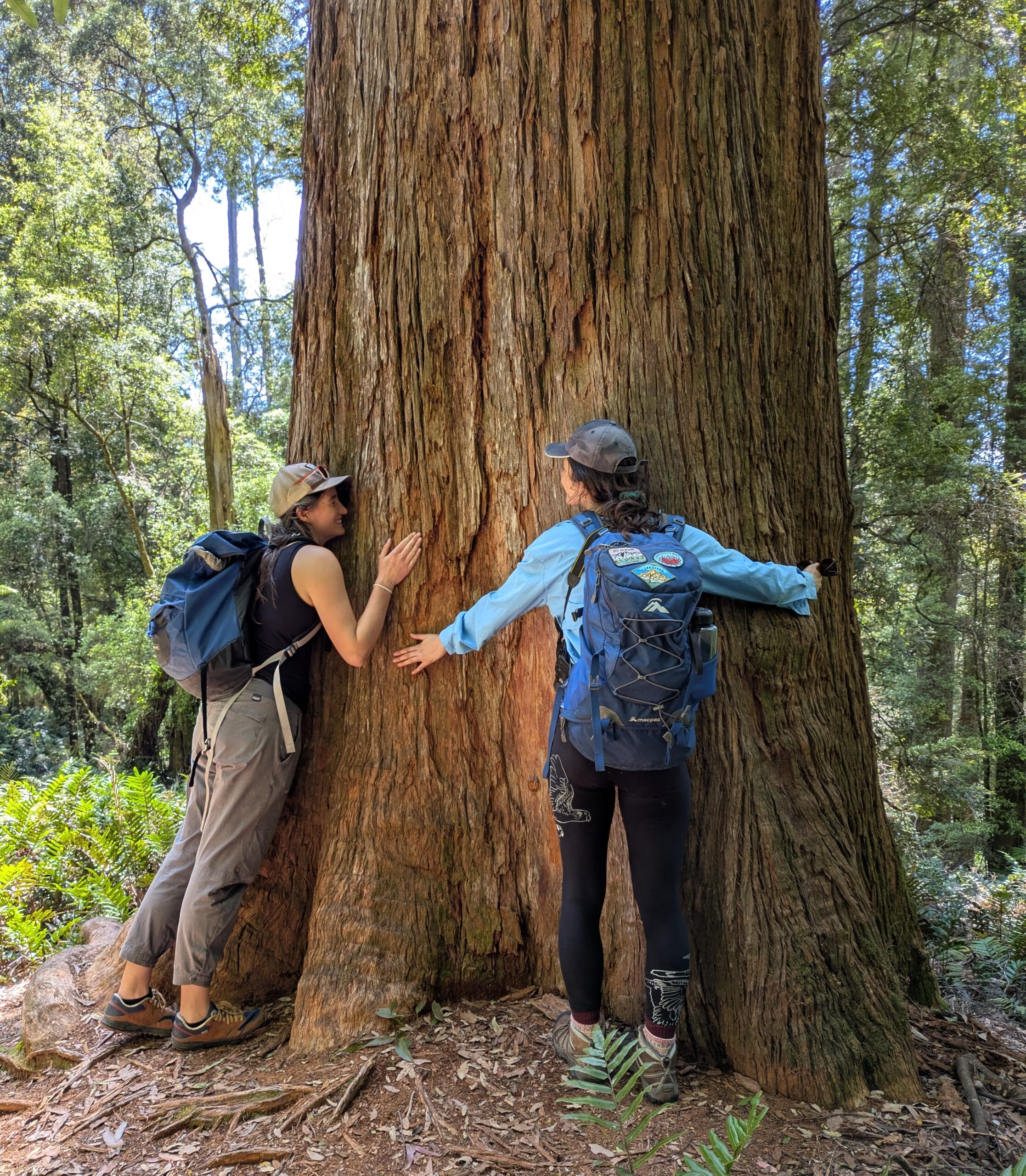 - Kids Care About Climate Change