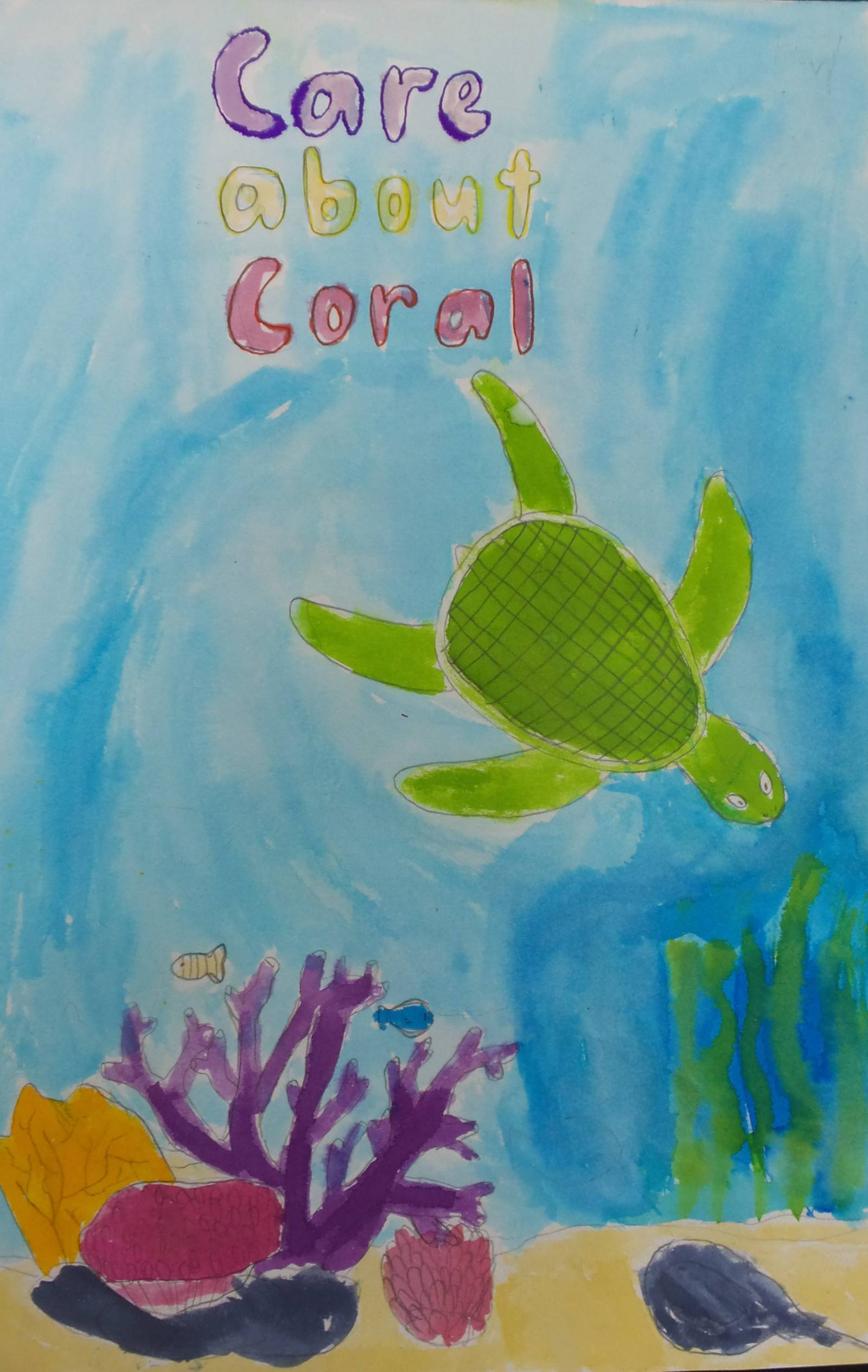 Care About Coral - Kids Care About Climate Change 2021