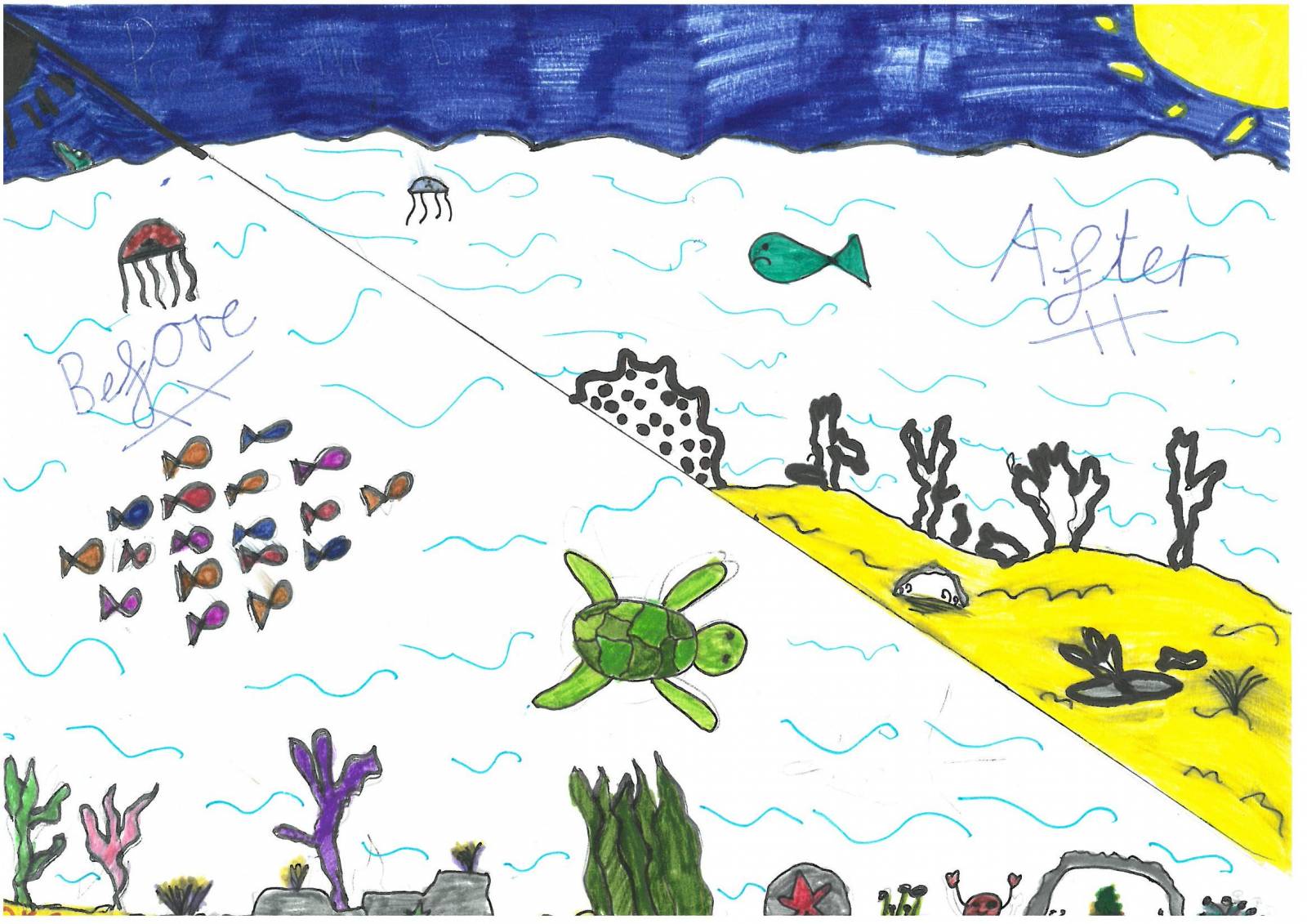 Save Our Coral Reefs - Kids Care About Climate Change