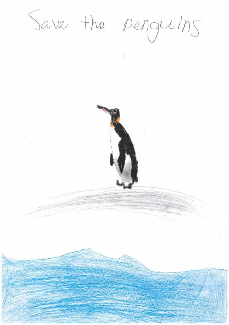 Save the Penguins - Kids Care About Climate Change