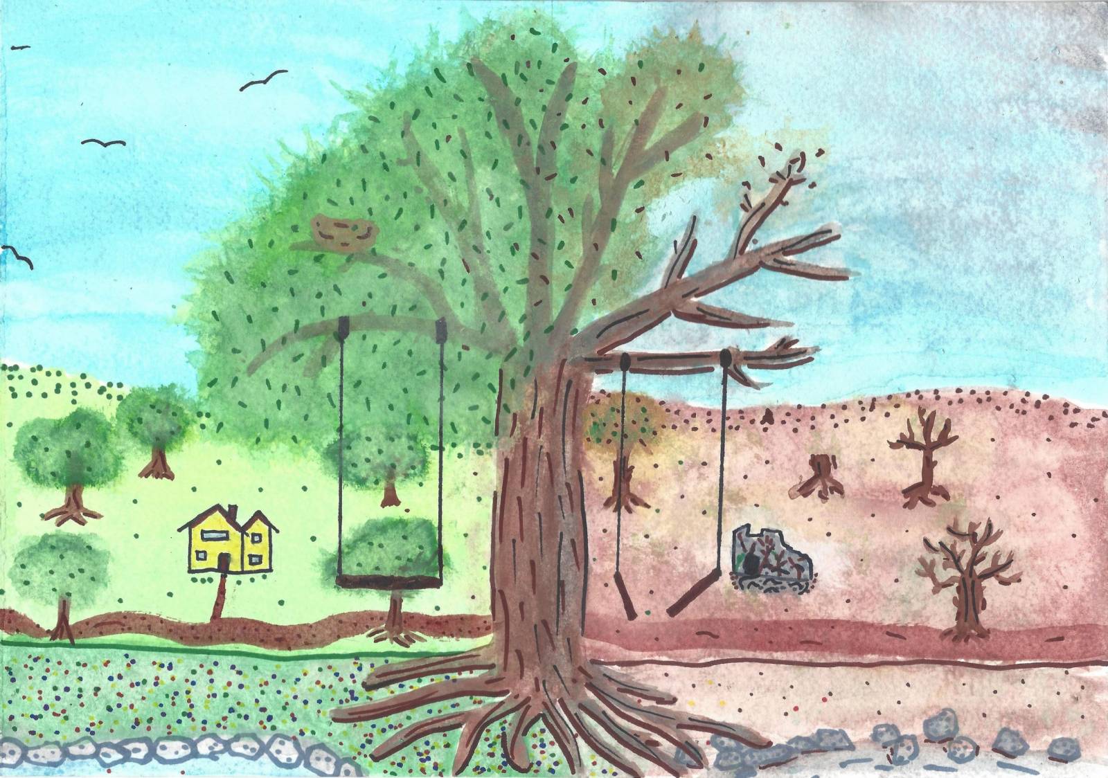 Trees Over Time - Kids Care About Climate Change