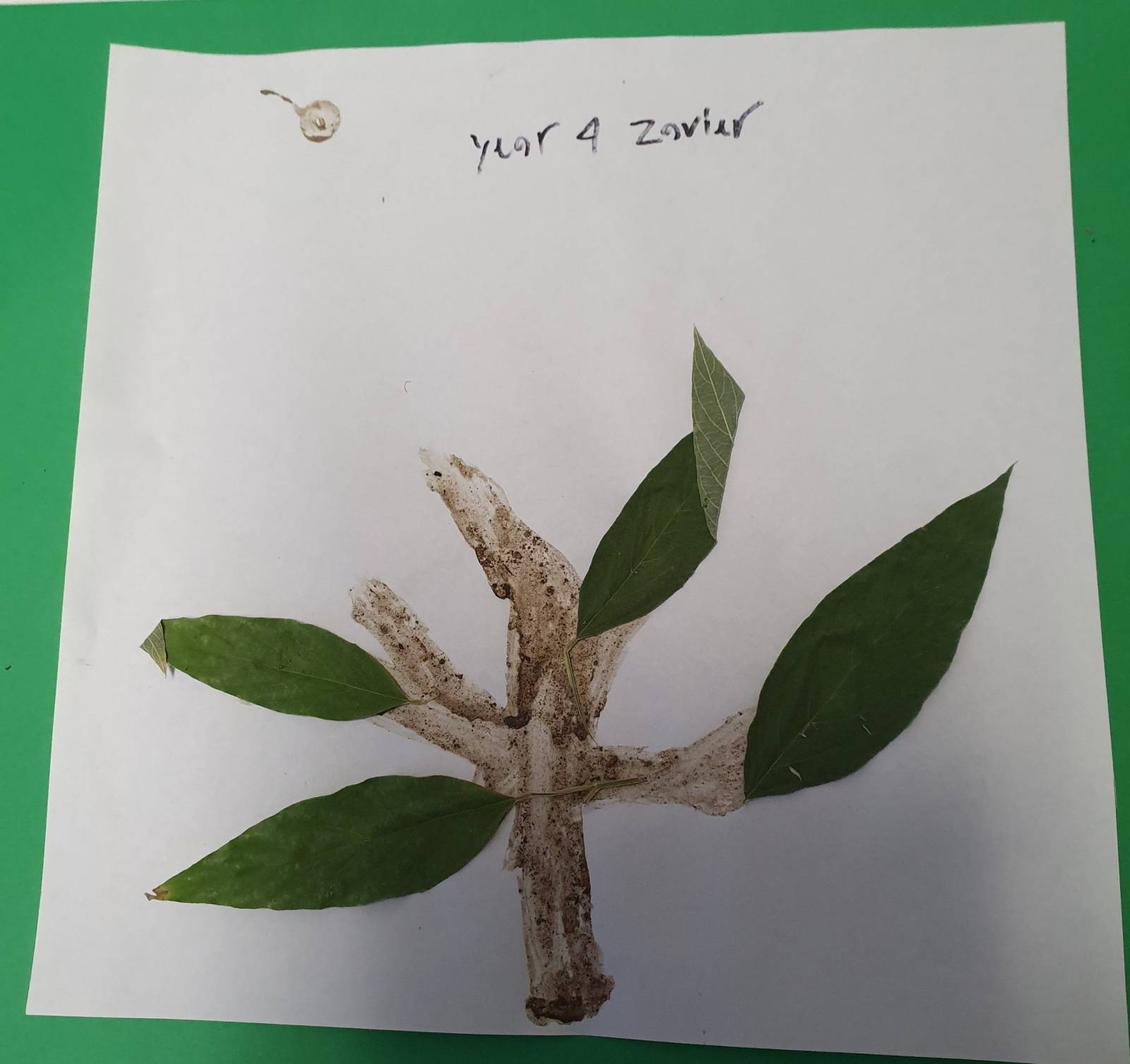 Stumpy Tree - Kids Care About Climate Change 2021