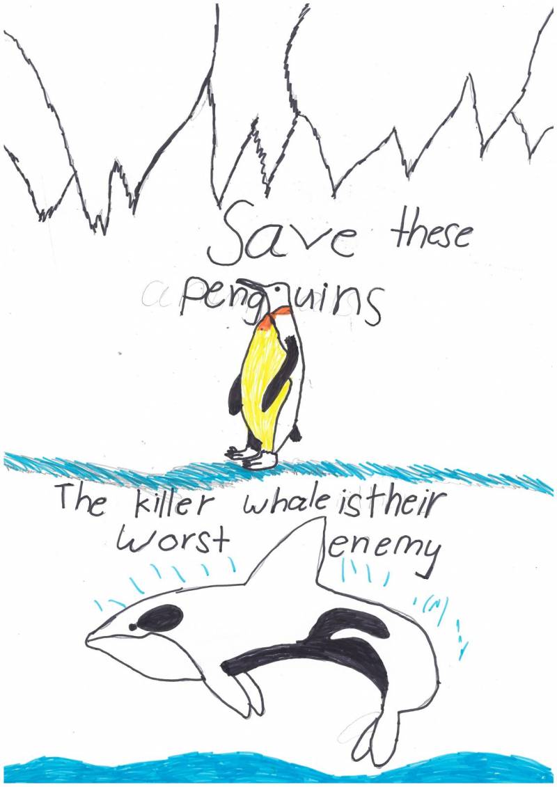 Save the Penguins - Kids Care About Climate Change