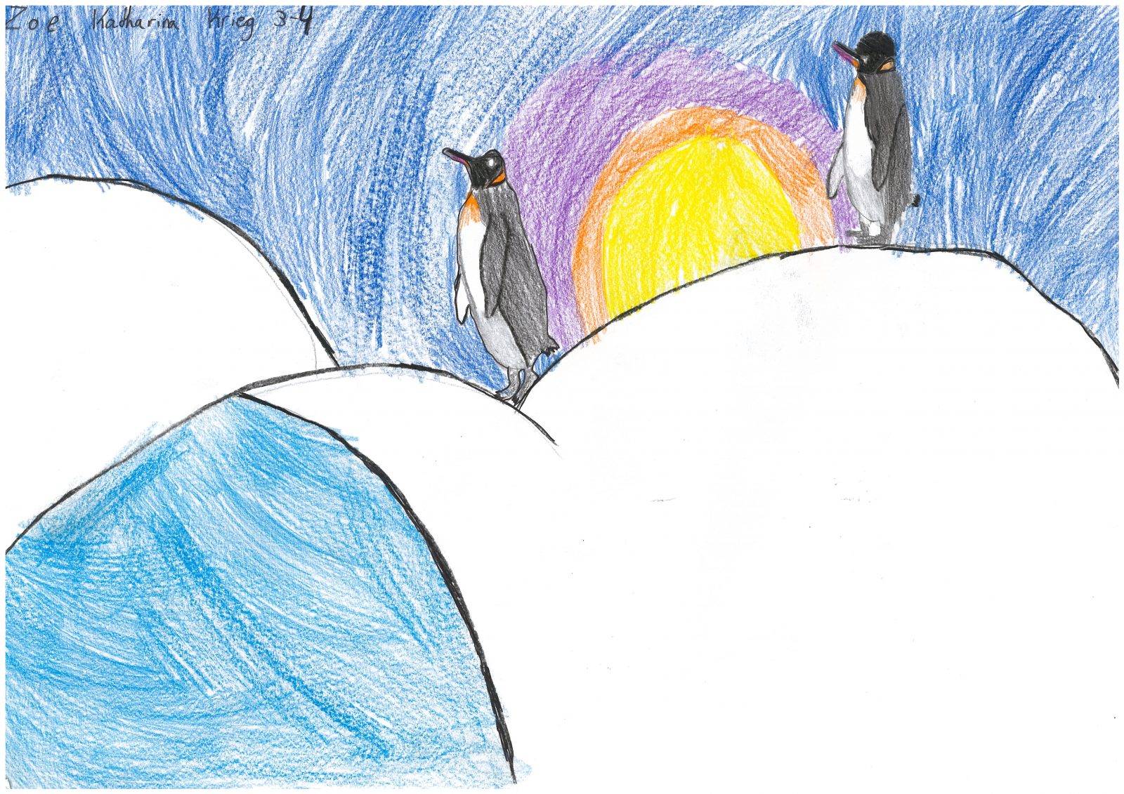 Save the Penguins - Kids Care About Climate Change 2021
