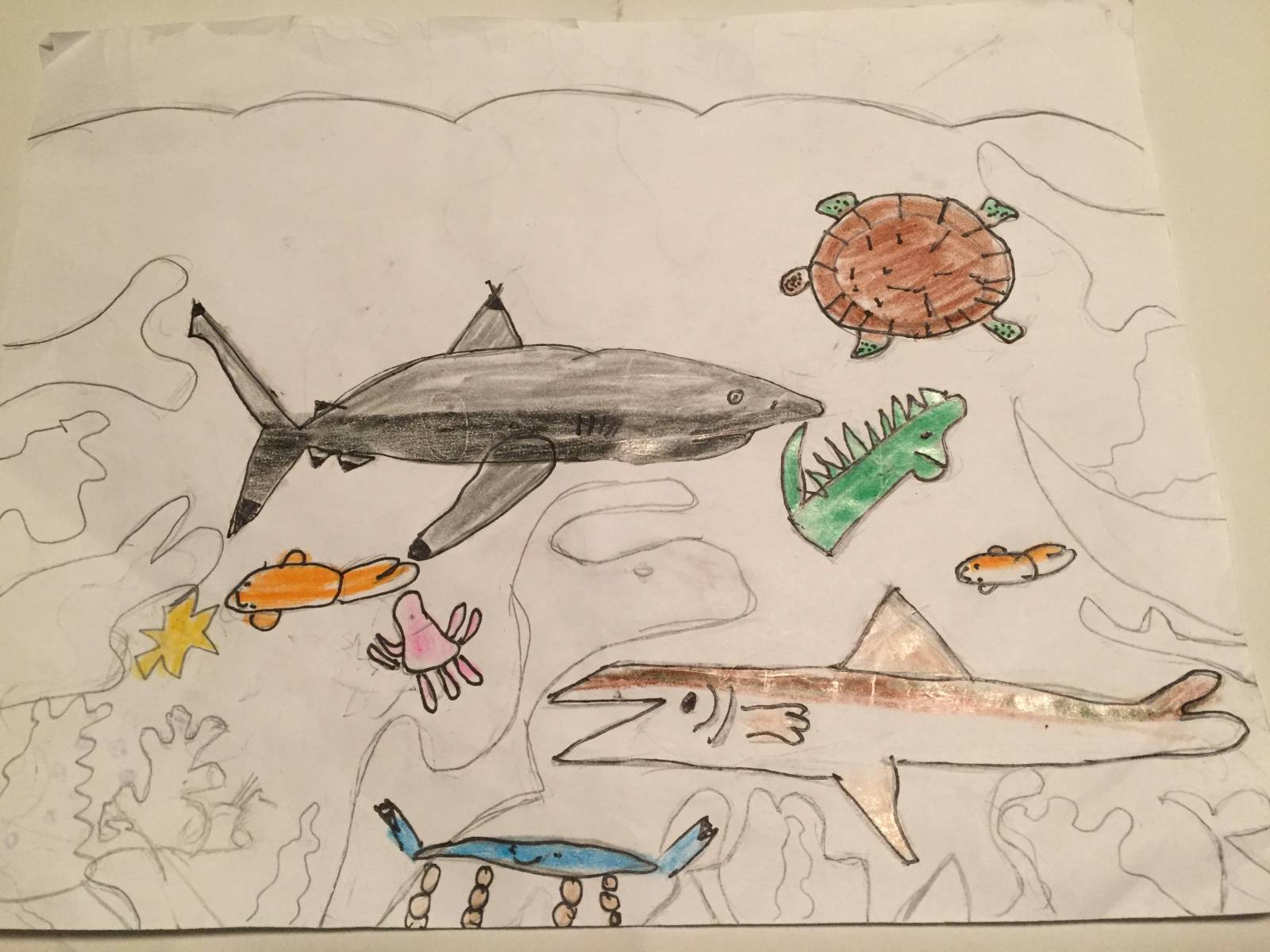 Save the coral reef - Kids Care About Climate Change 2021