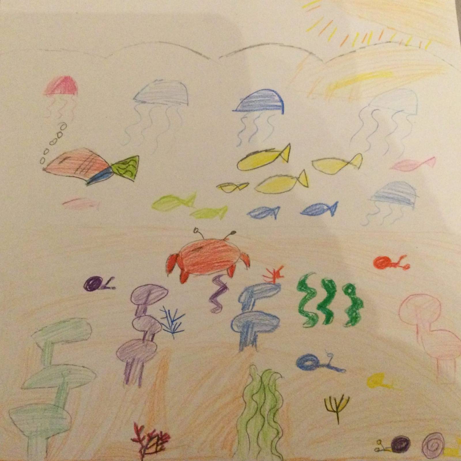 Keep The Environment Clean And Tidy - Kids Care About Climate Change