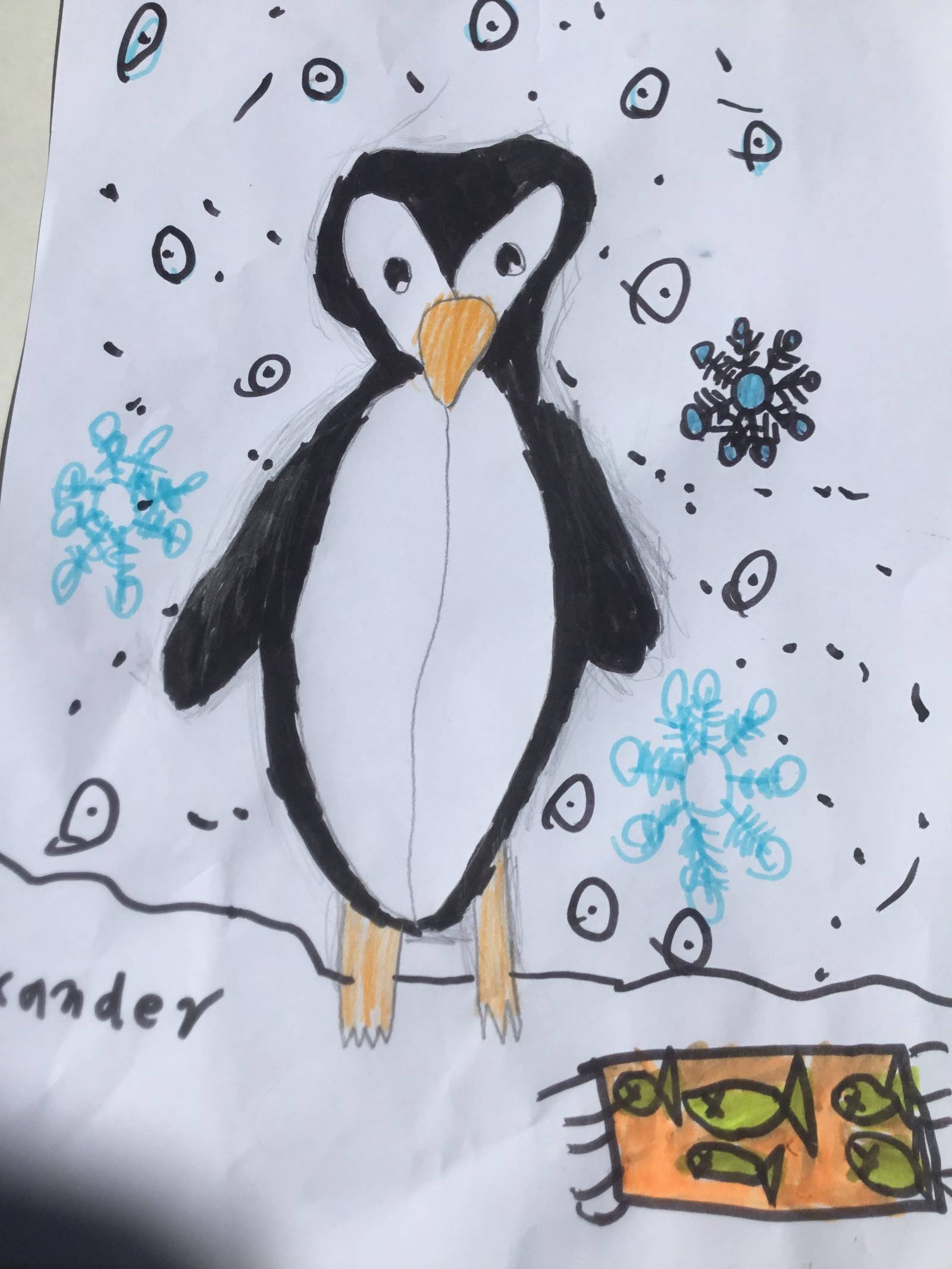 Save the lost penguin - Kids Care About Climate Change 2021