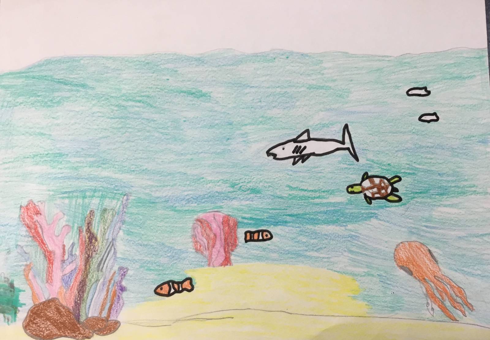 The life of the coral reef - Kids Care About Climate Change 2021
