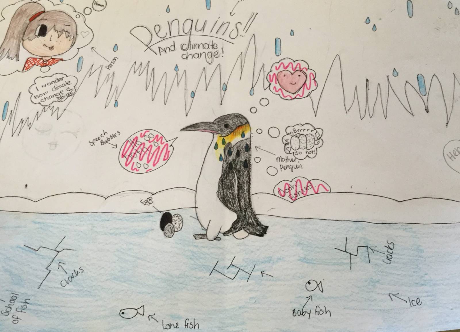 Help Save Penguins In Climate Change - Kids Care About Climate Change 2021